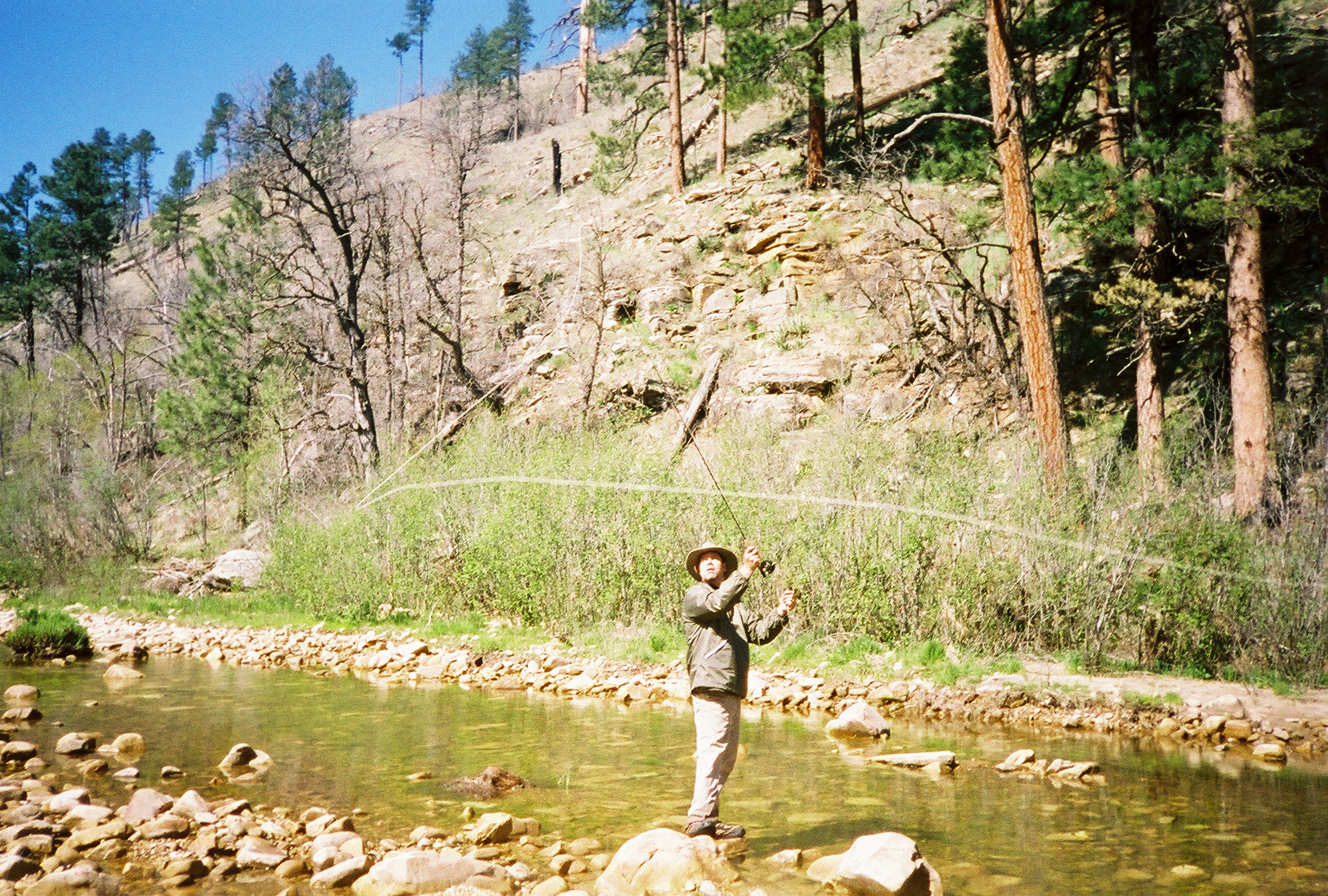 Telephone Ridge Trail #103 - Chevelon, AZ | HikeArizona