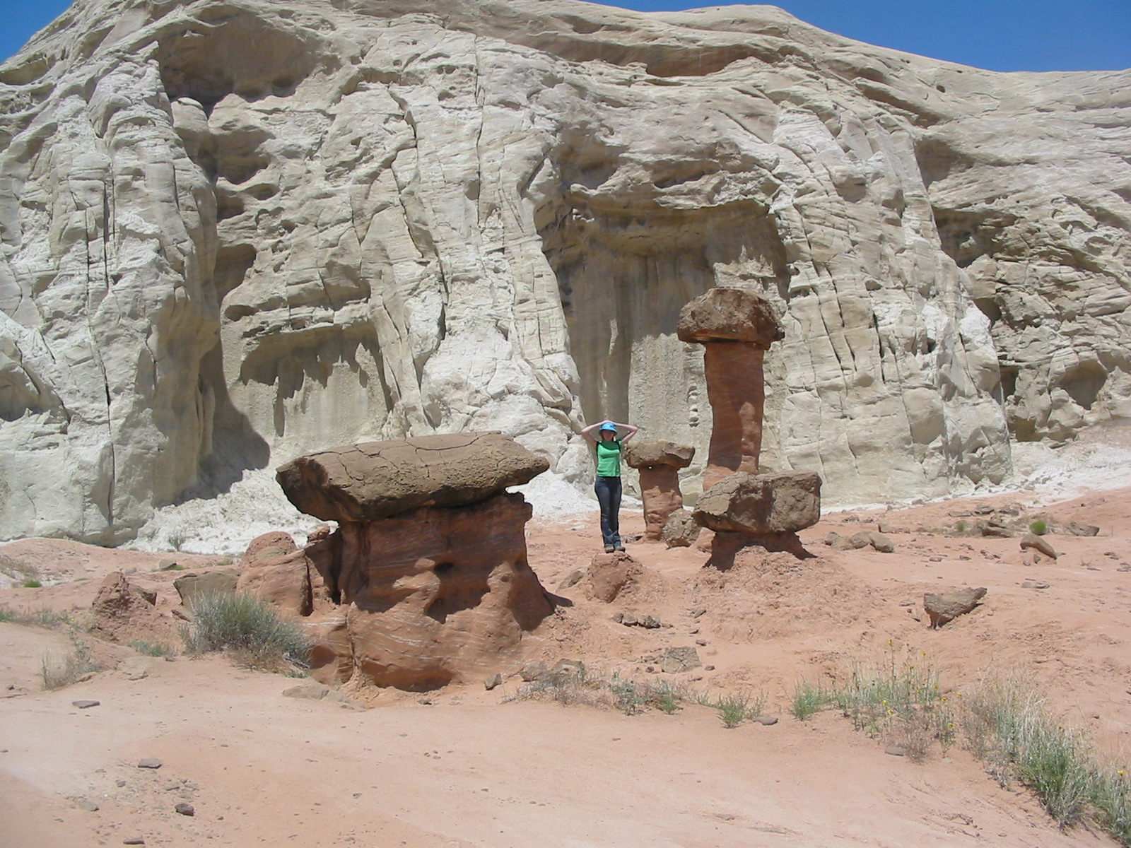 Paria River Rimrock Toadstools, UT • Hike