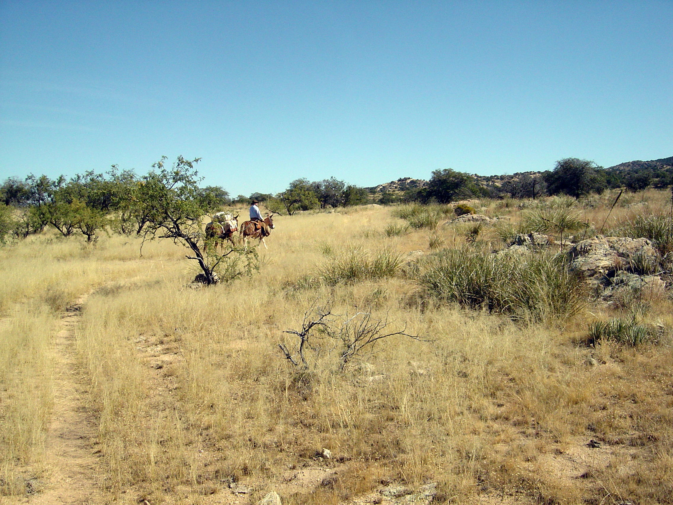 Italian Spring Trail #95, AZ | HikeArizona