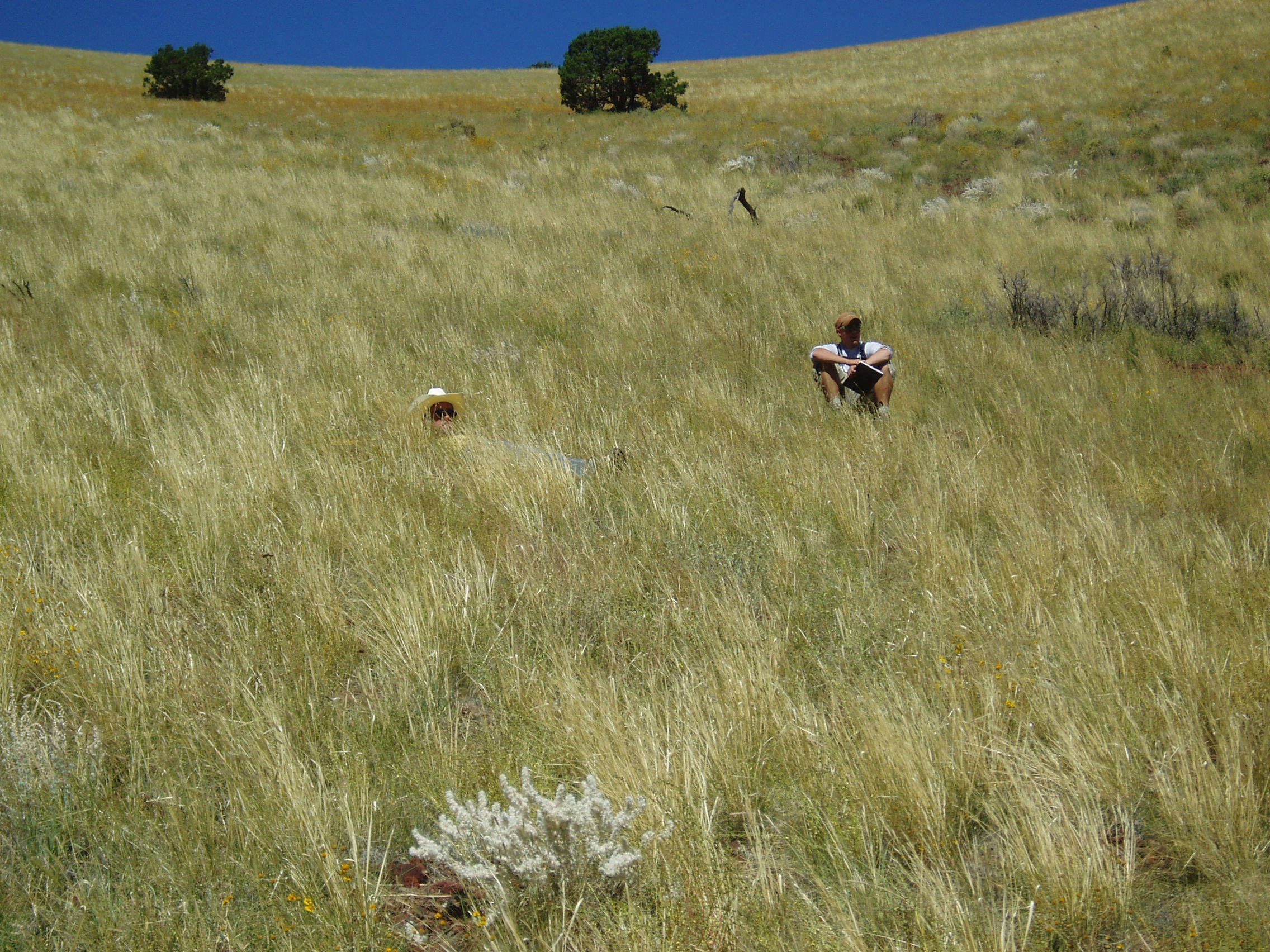 Colton Crater, AZ | HikeArizona