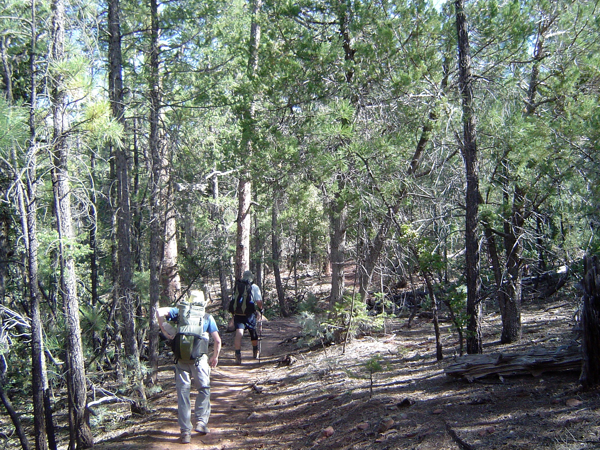 Highline Trail #31, AZ | HikeArizona