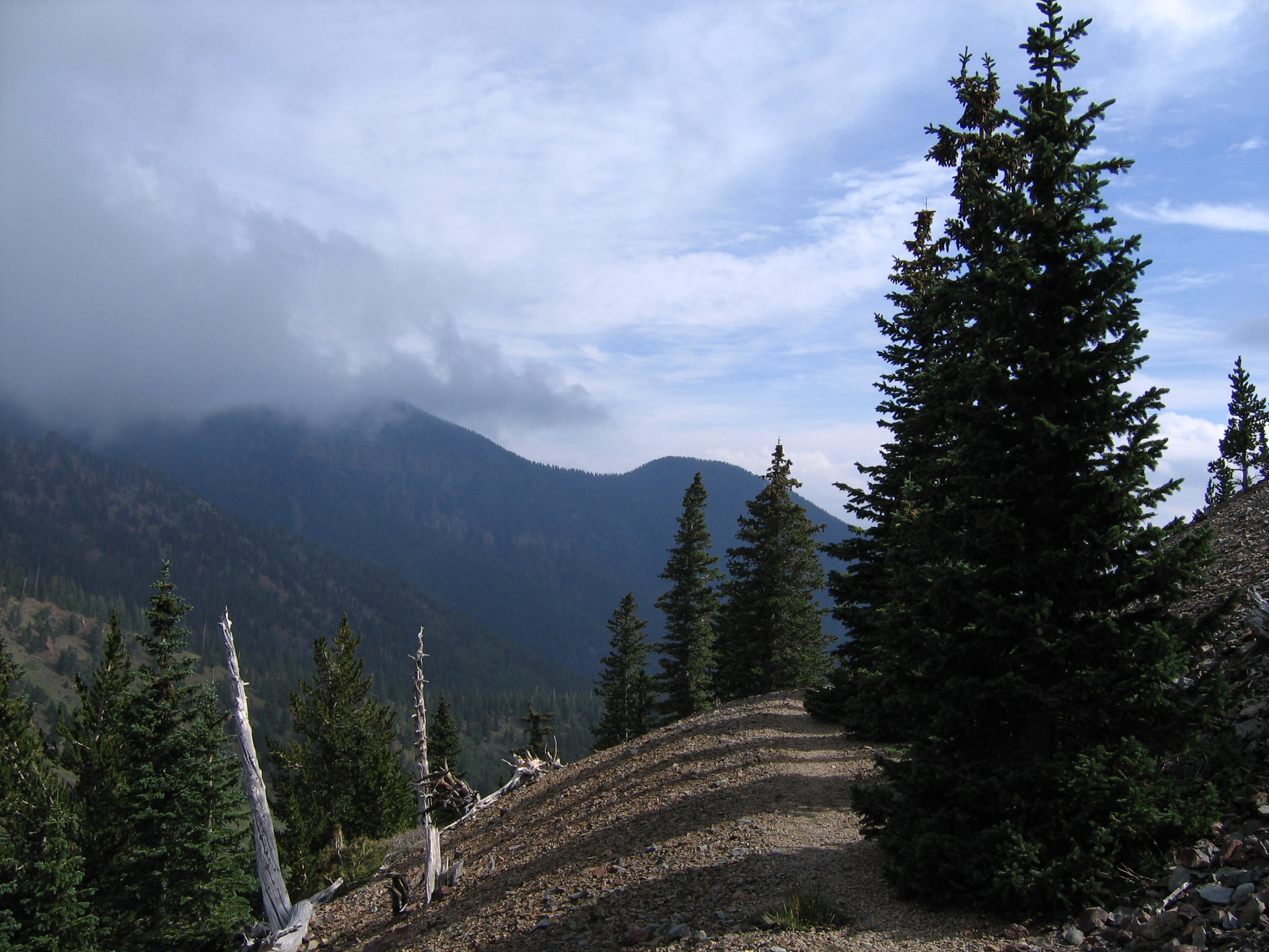 Inner Basin to Doyle Peak, AZ | HikeArizona