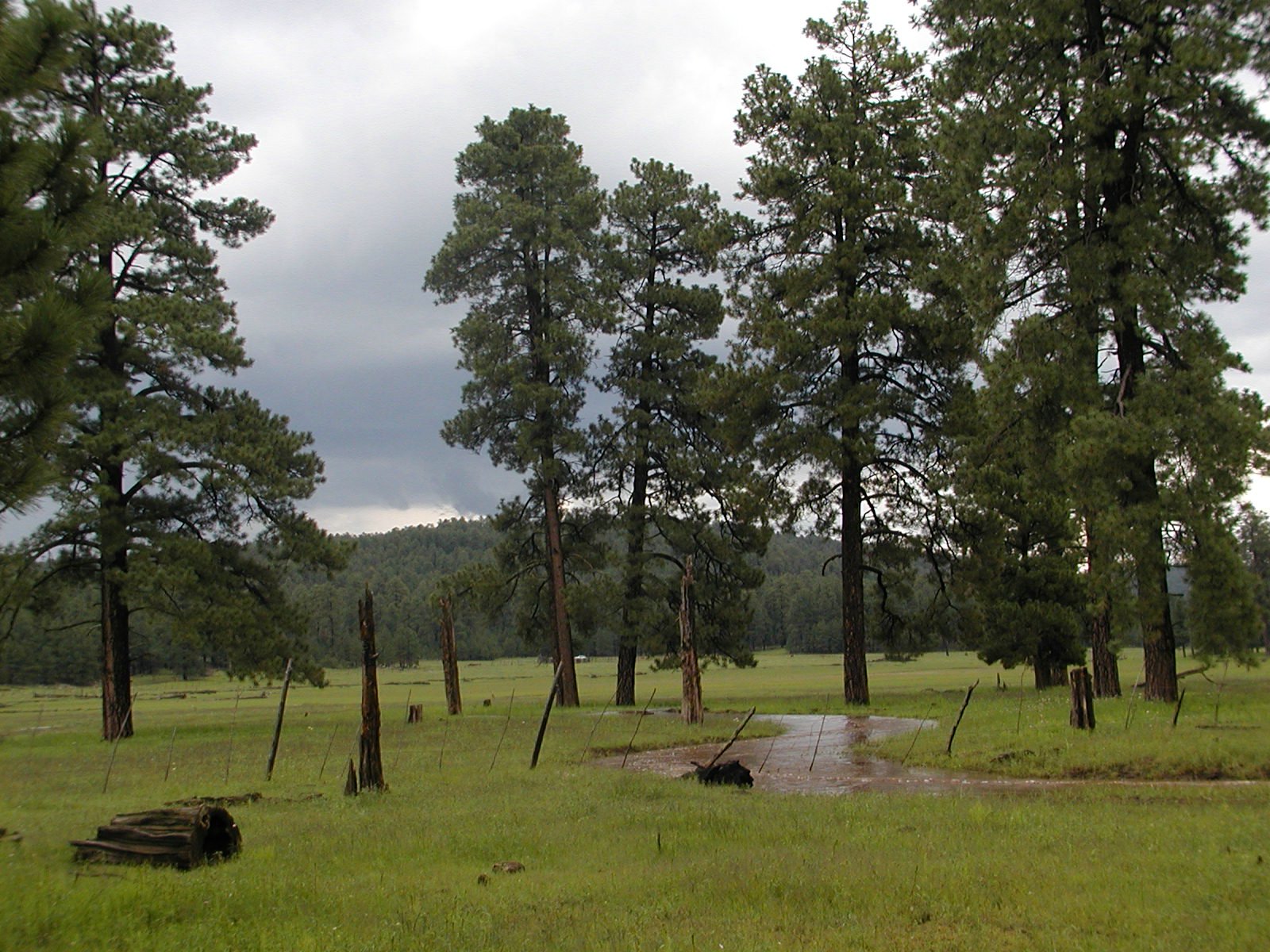 Dry Lake/Nantac Rim, AZ | HikeArizona