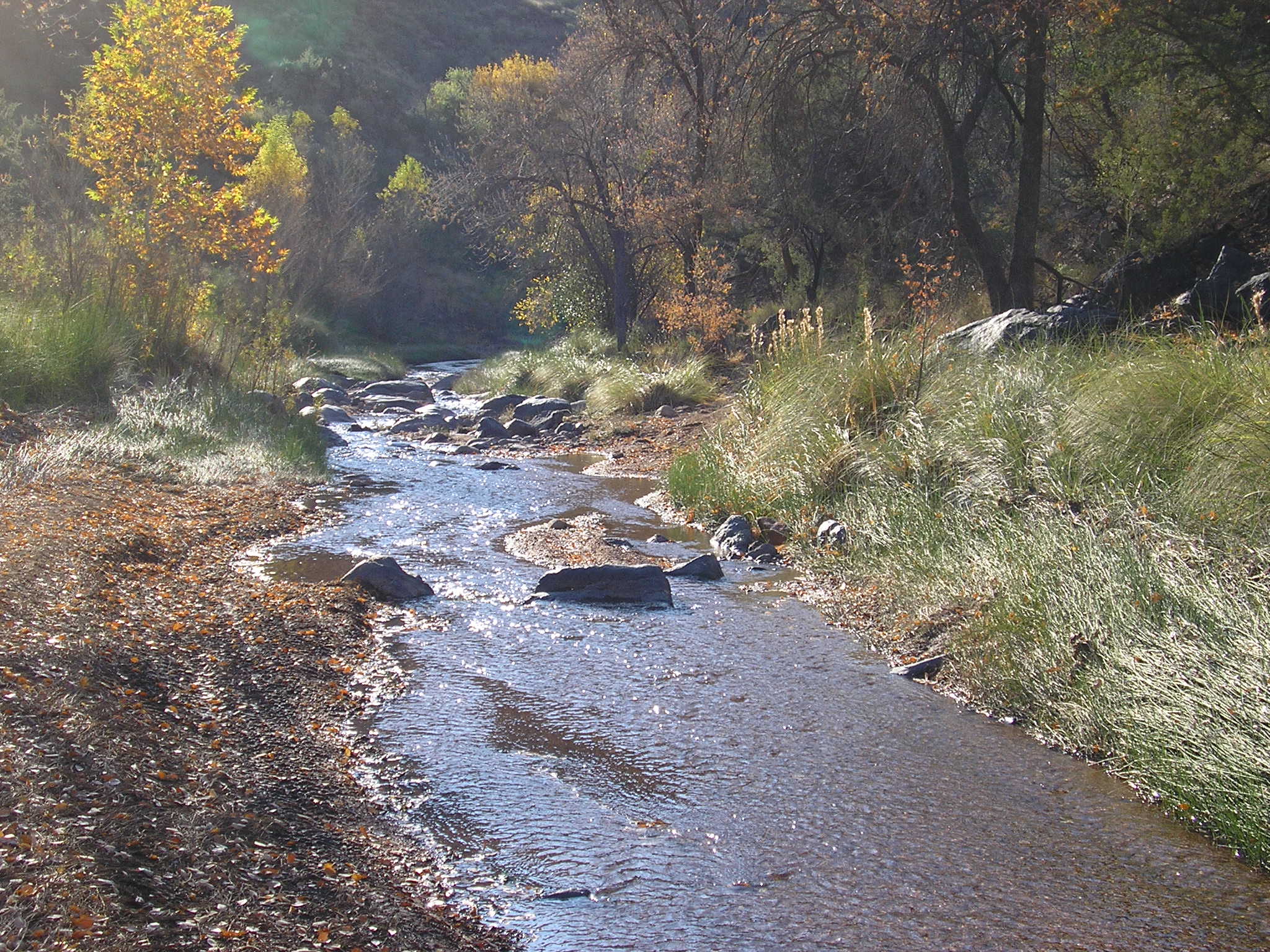 Red Creek, AZ | HikeArizona
