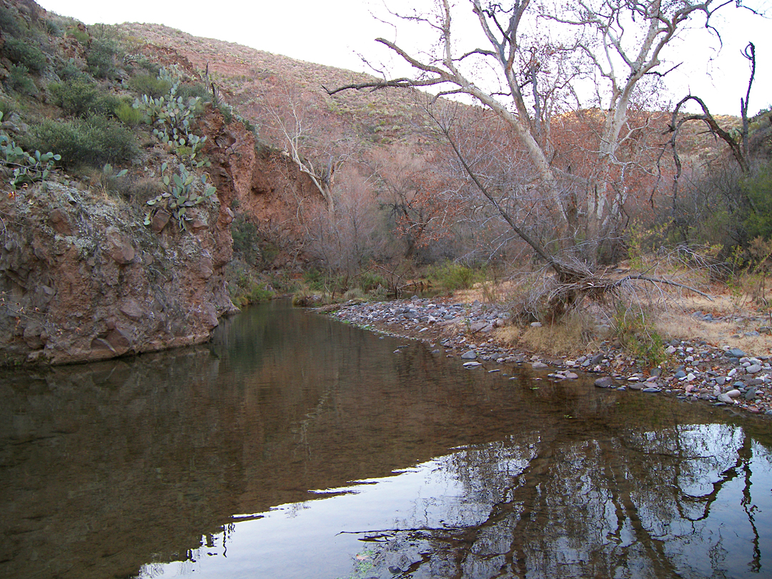 Bonita Creek, AZ | HikeArizona