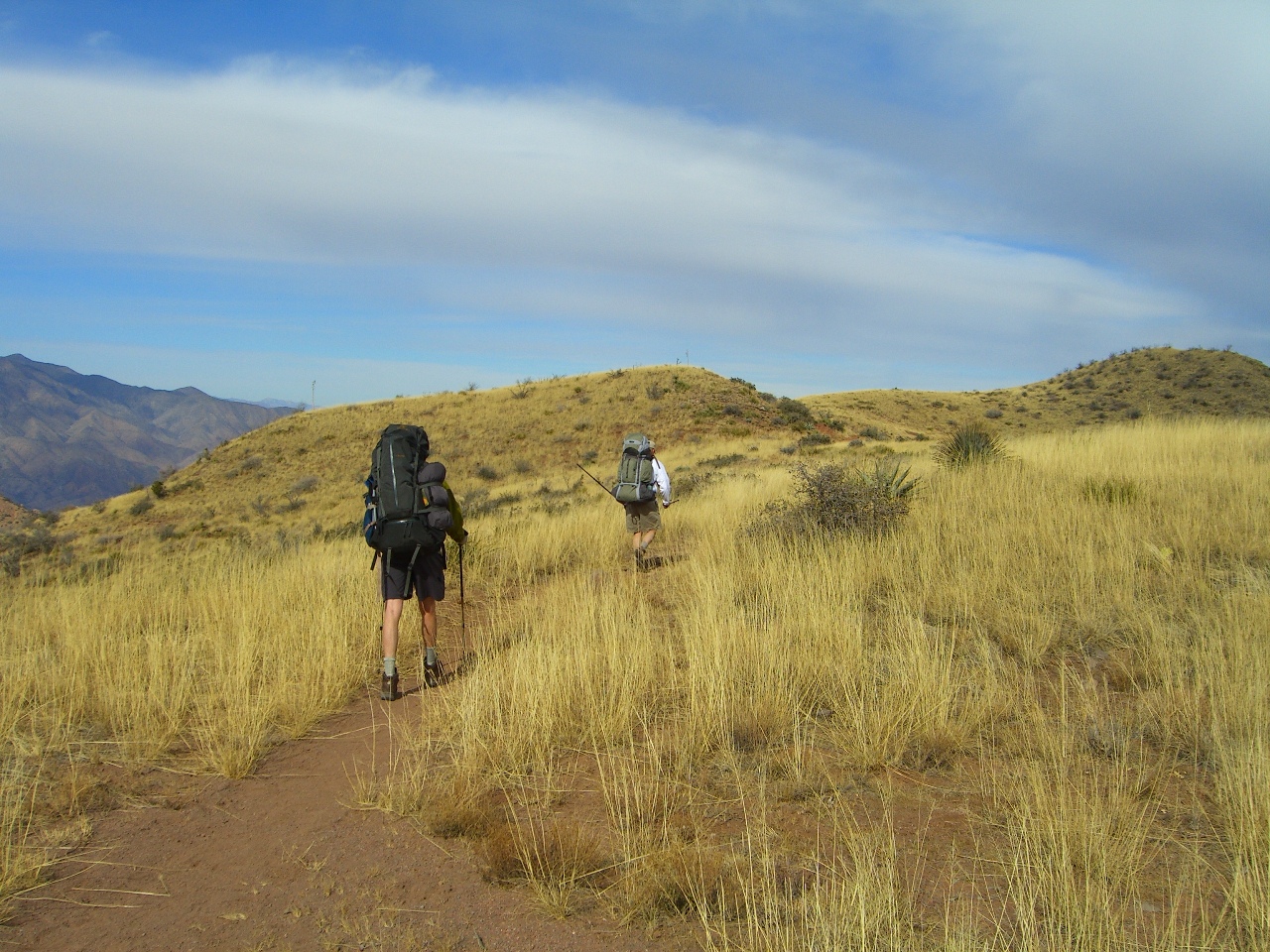 Reavis Ranch via 109 North, AZ | HikeArizona