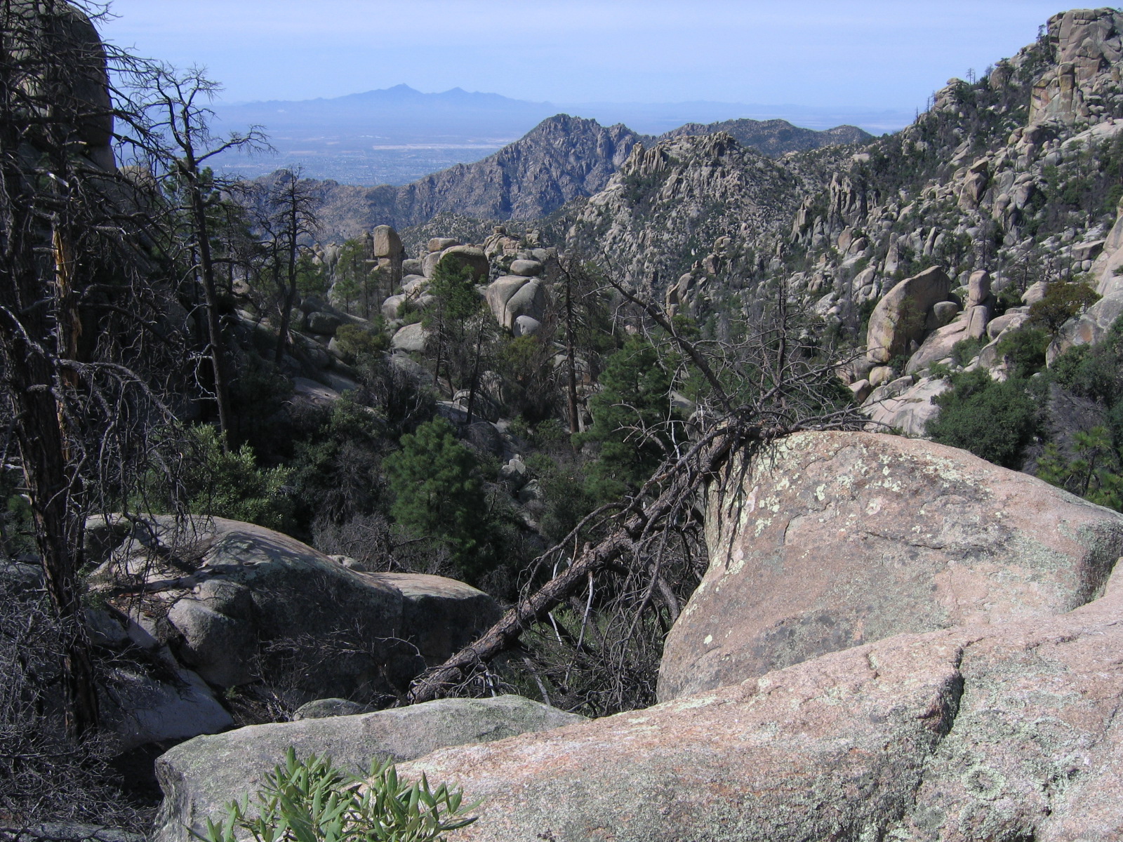 Upper Lemmon Canyon & Pools, AZ | HikeArizona