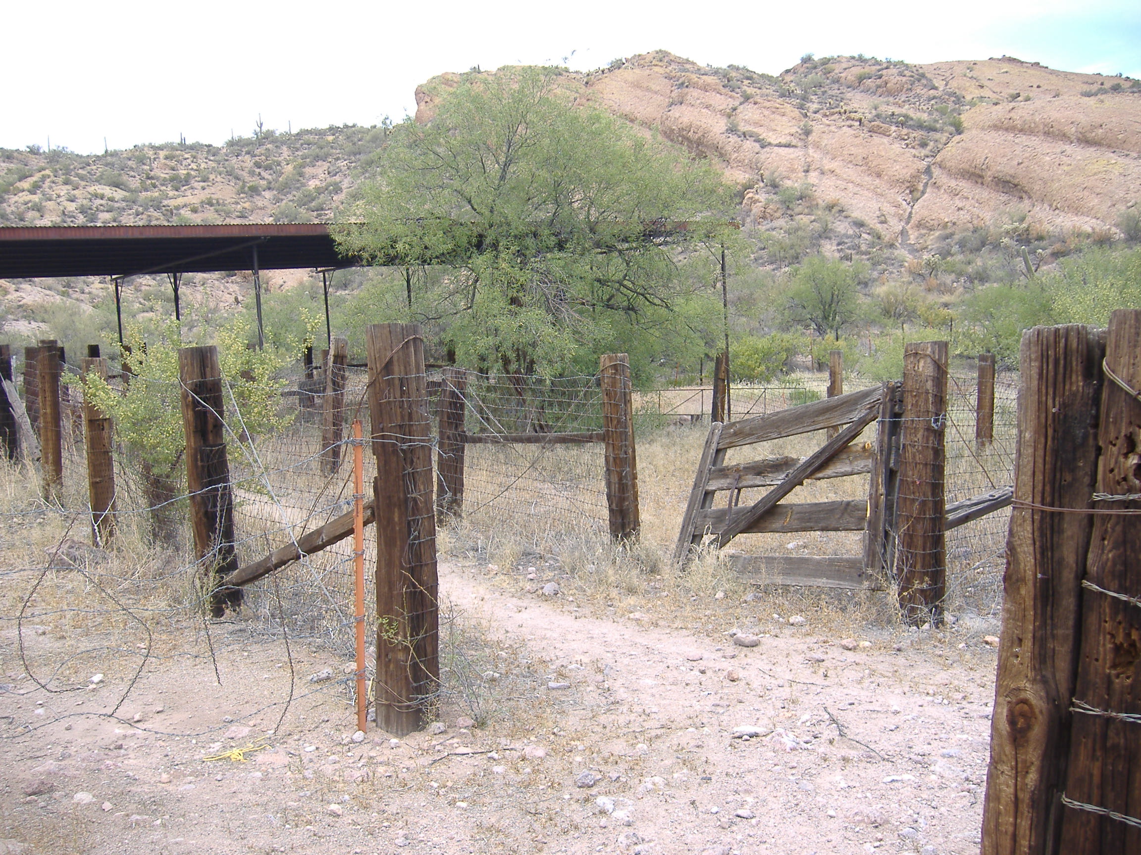 Hackberry Spring Loop, AZ | HikeArizona