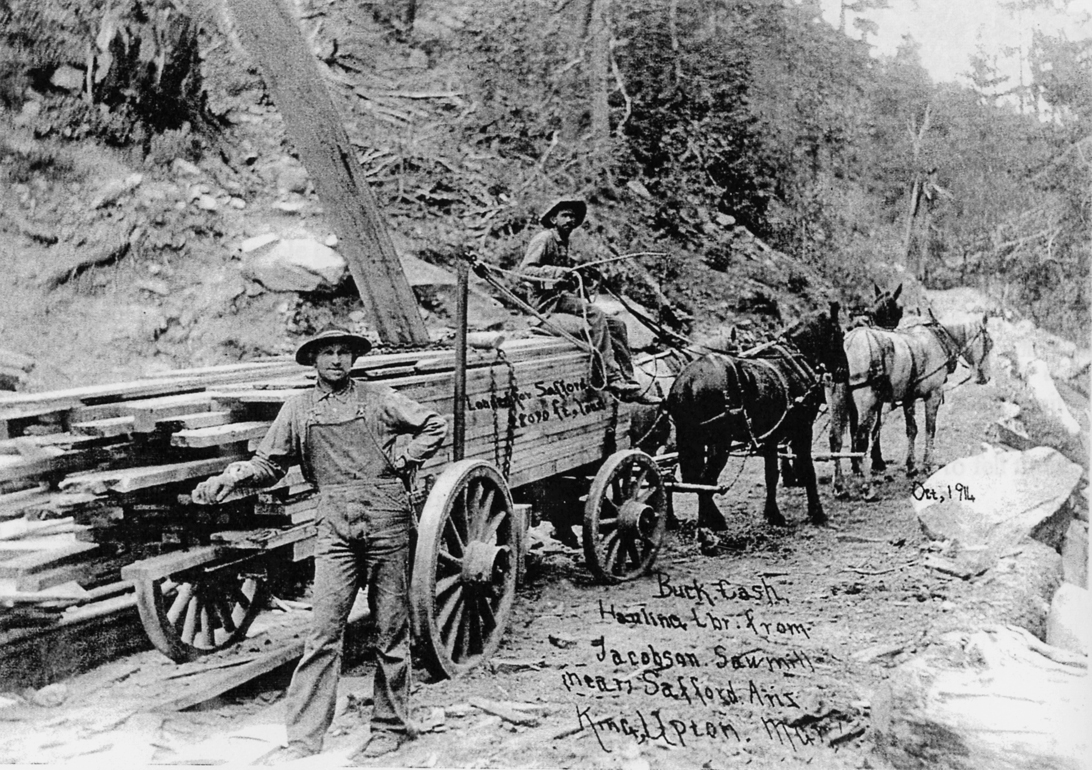 Jacobson Sawmill, AZ | HikeArizona
