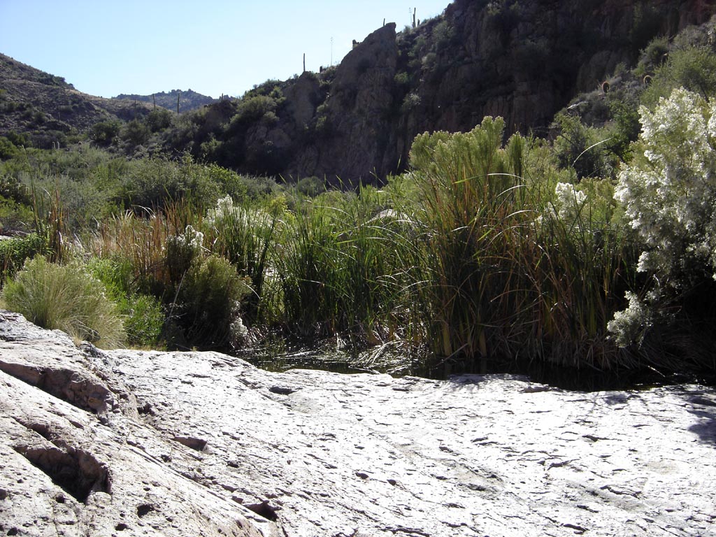 Willow Springs from First Water TH, AZ | HikeArizona