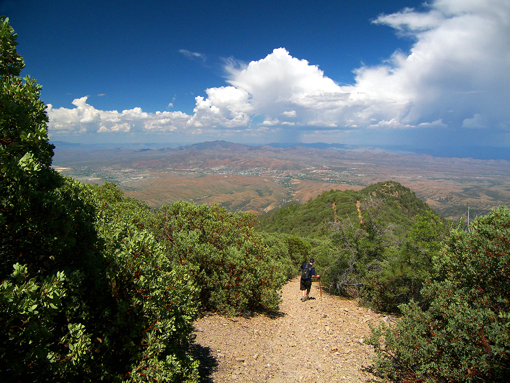 Sixshooter-Telephone Ridge Loop, AZ | HikeArizona