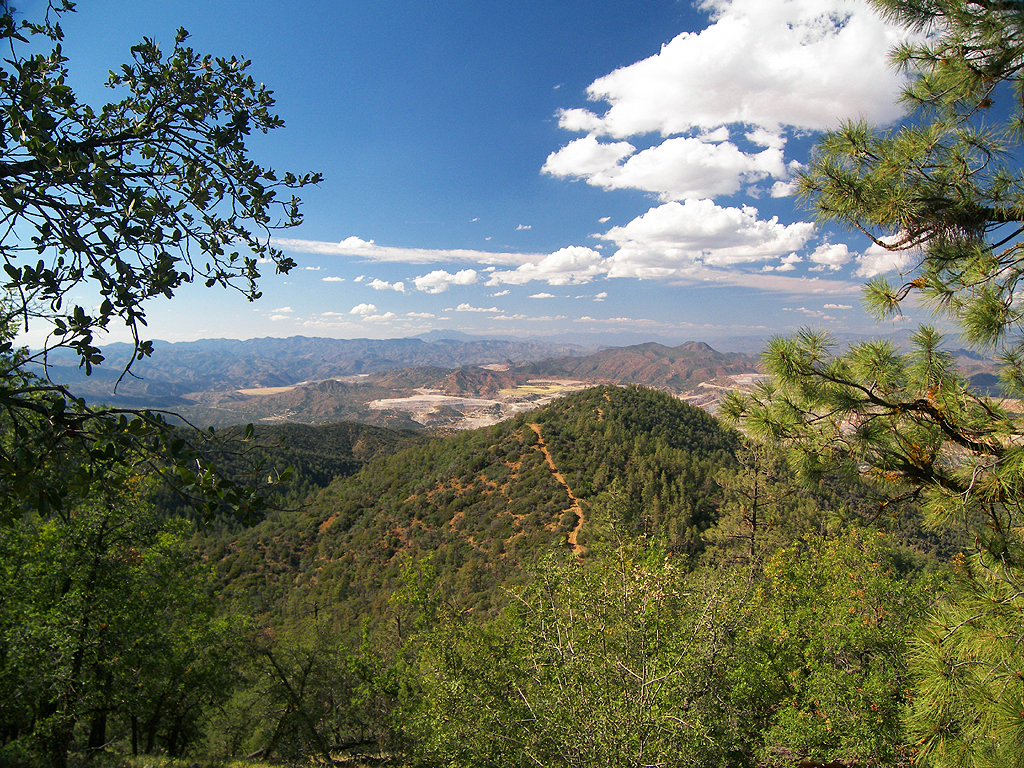 Madera Peak, AZ | HikeArizona