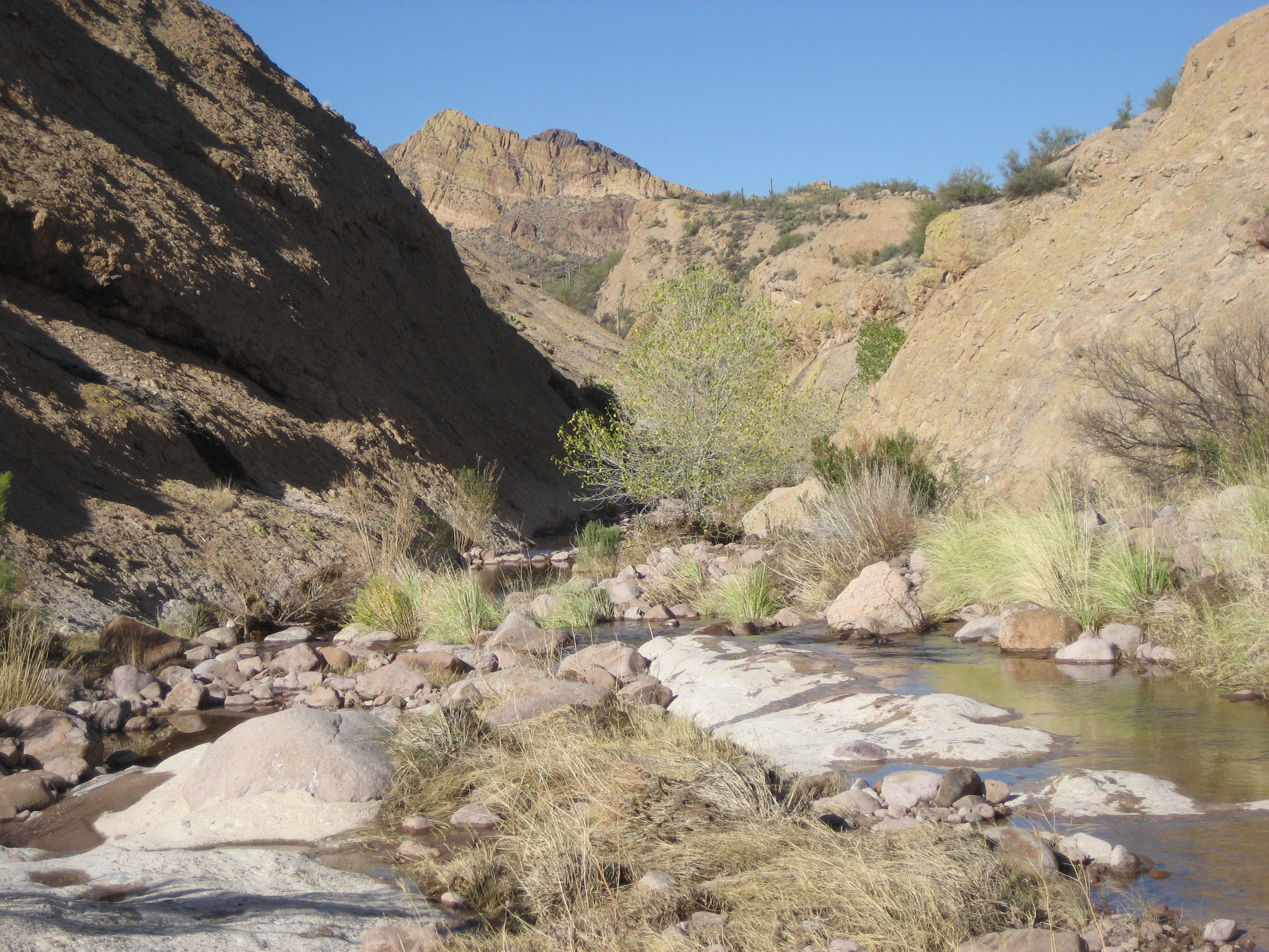 Hackberry Spring from Horse Lot, AZ | HikeArizona