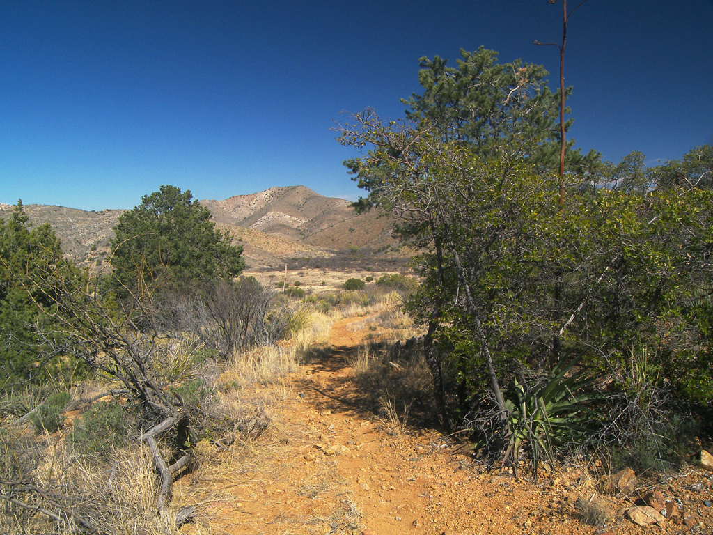 Butterfield Trail - Fort Bowie, AZ | HikeArizona