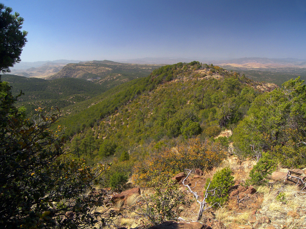 Maverick Hill, AZ | HikeArizona