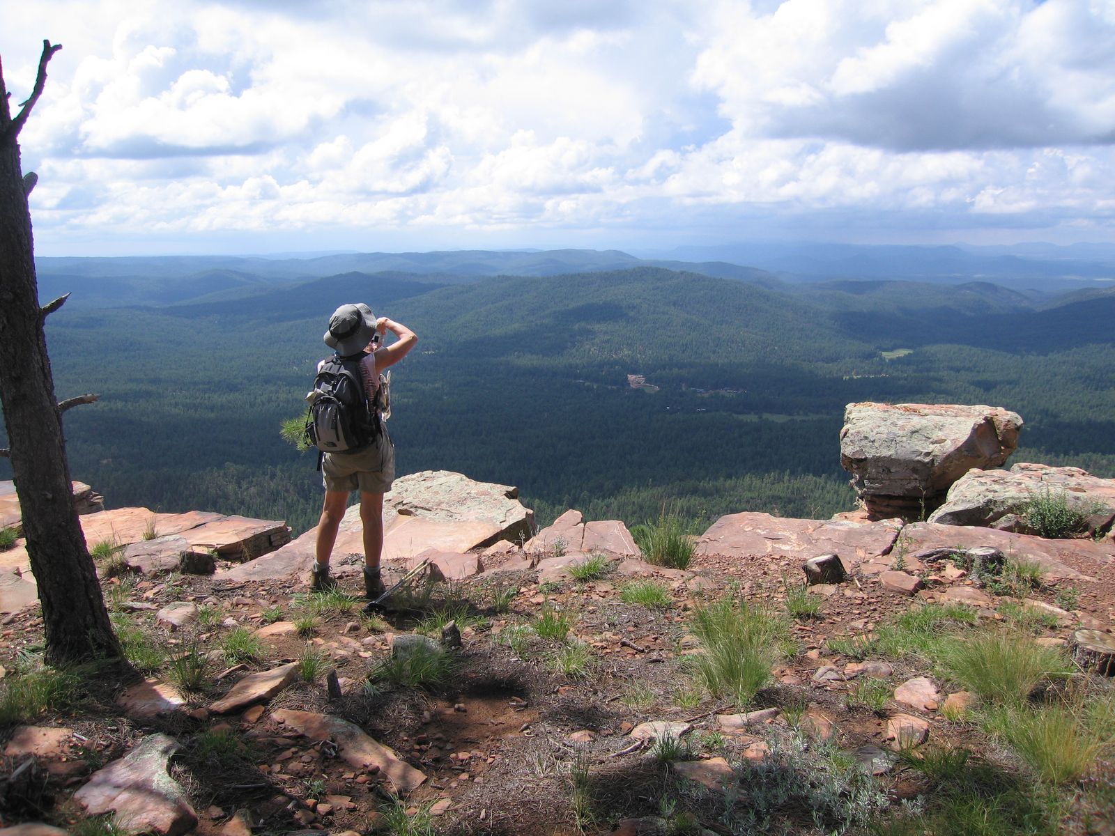 Mogollon Rim Vista Loop, AZ | HikeArizona