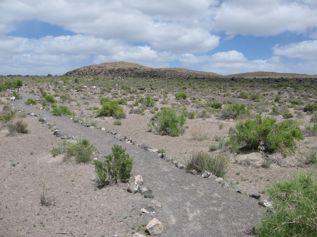 Grimes Point Petroglyph Trail, NV • Hike