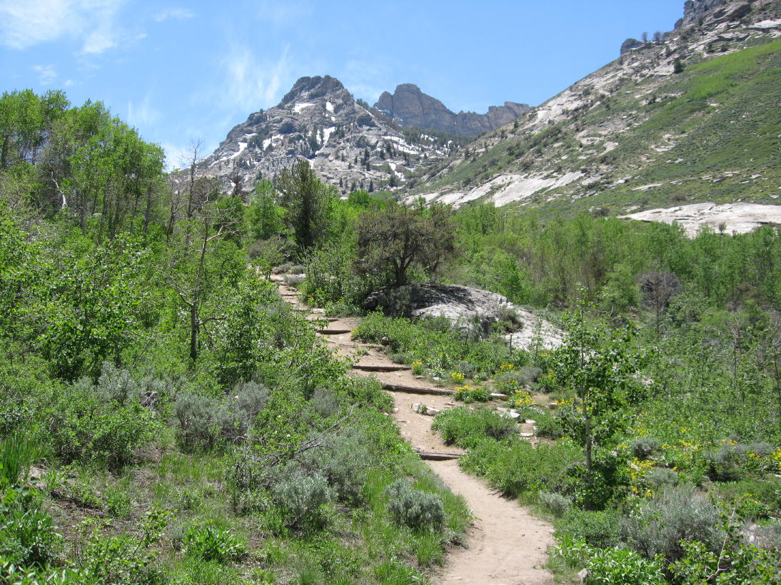 Thomas Creek Trail, NV • Hike