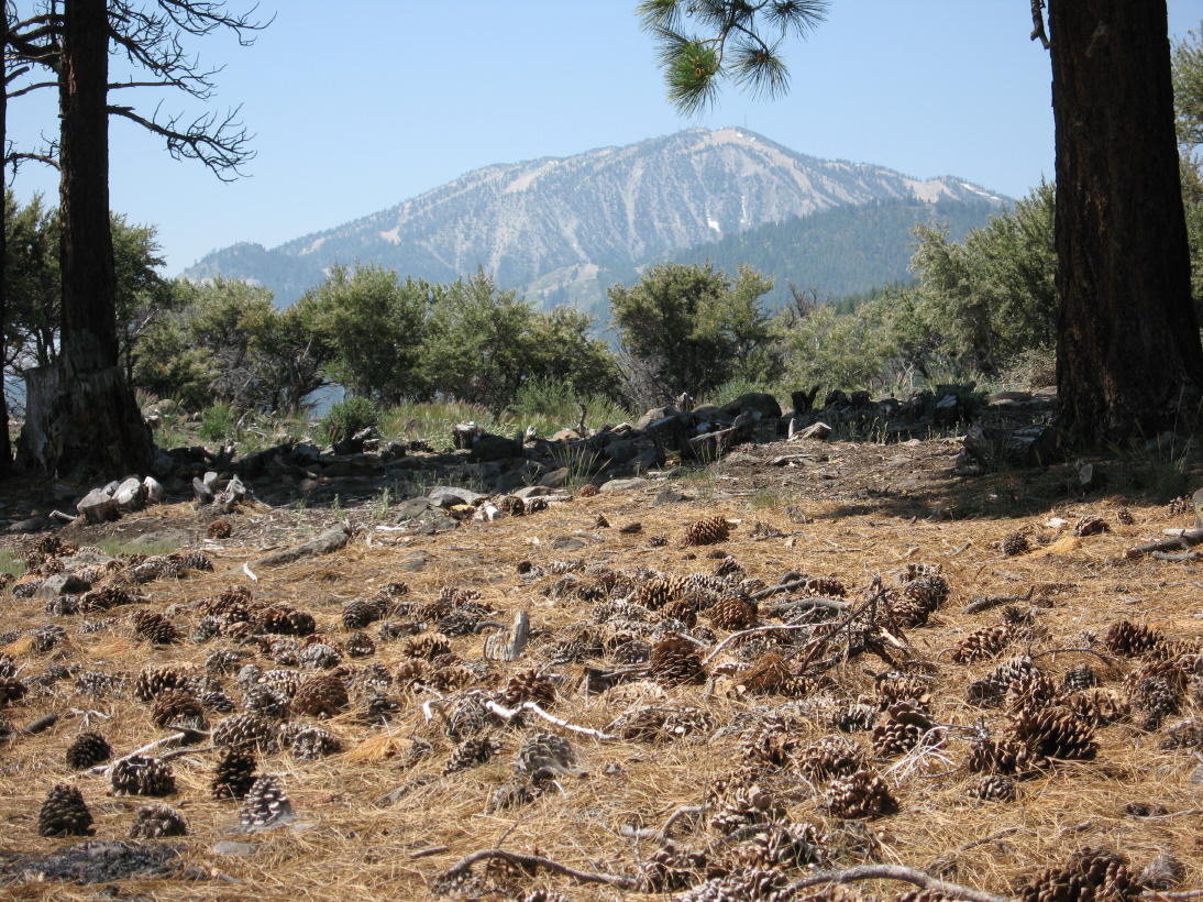 Dry Pond Loop, NV • Hike
