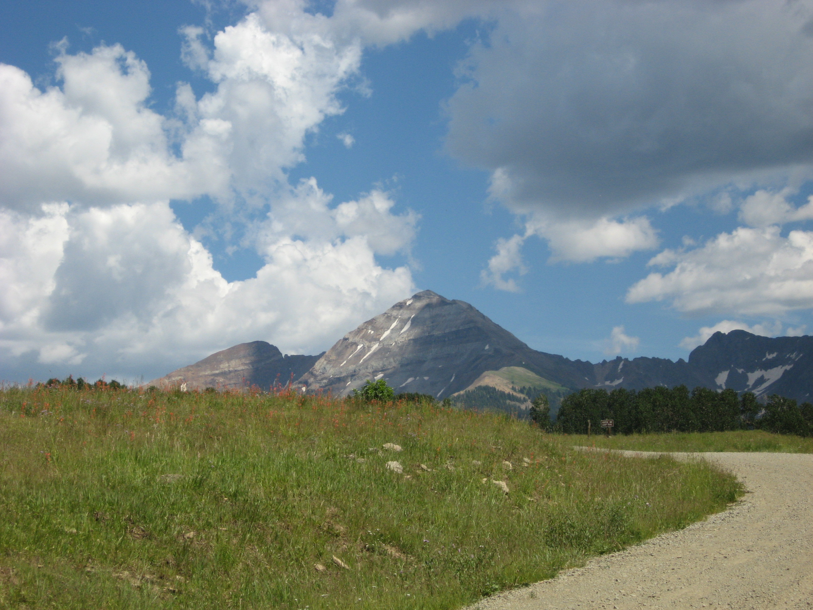 Hesperus Mountain, CO • Hike