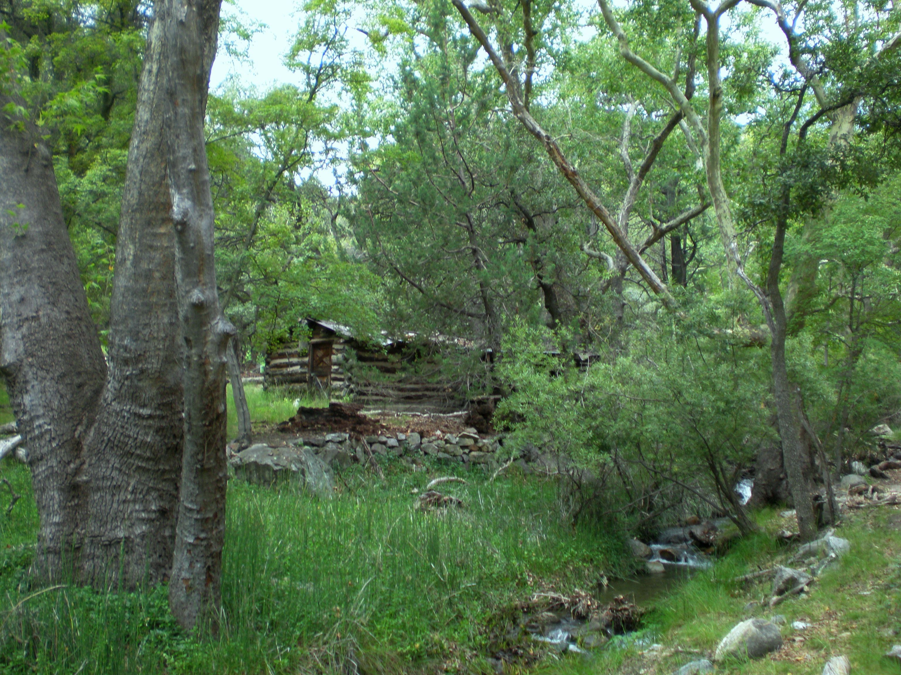 Ramsey Canyon Trail, AZ | HikeArizona