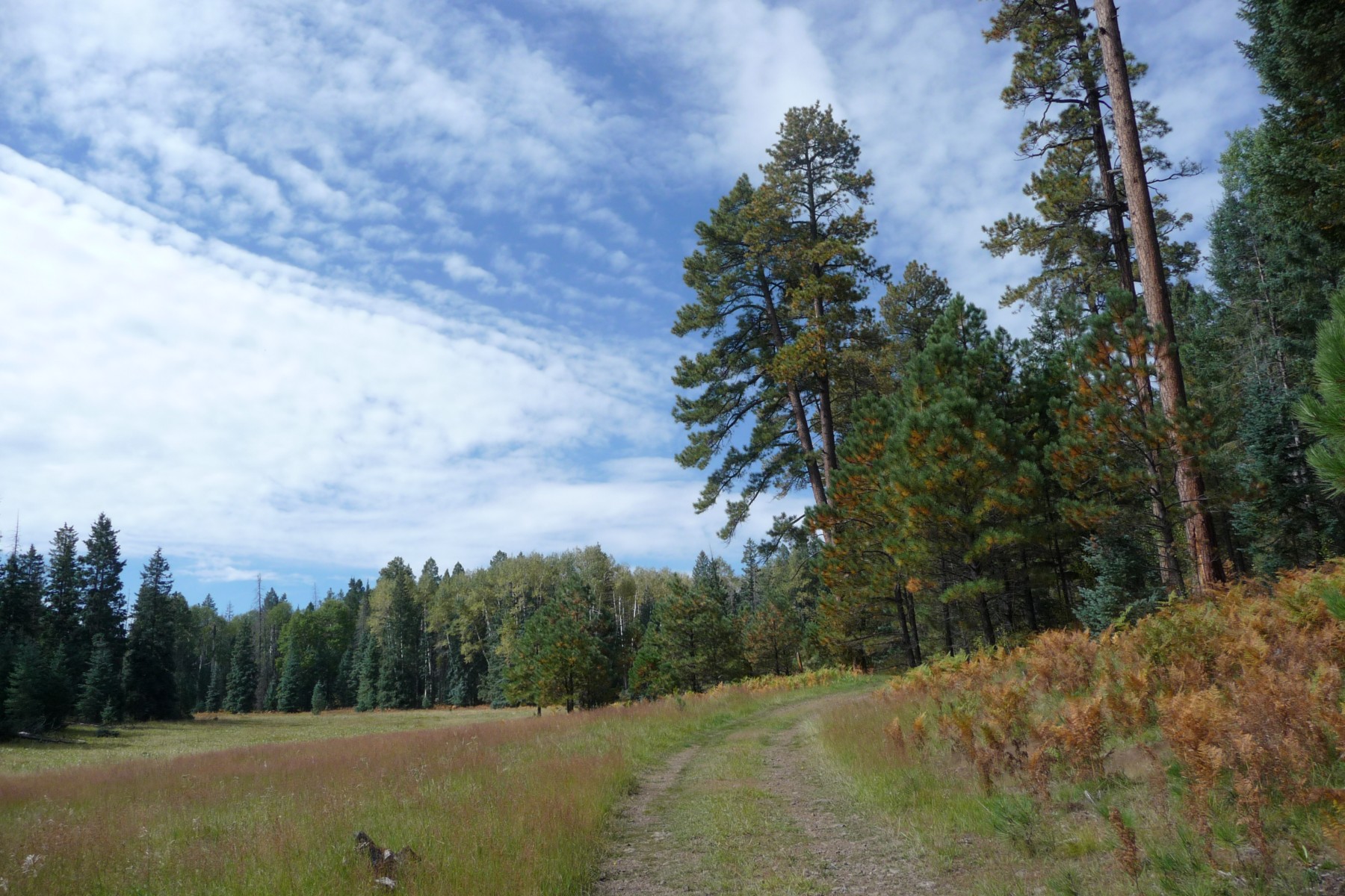 Aker Lake Trail #17, AZ | HikeArizona