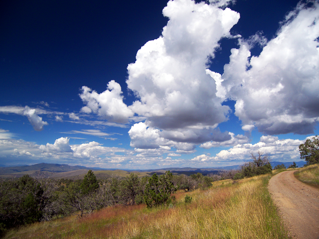 Seep Spring Canyon Loop, AZ | HikeArizona