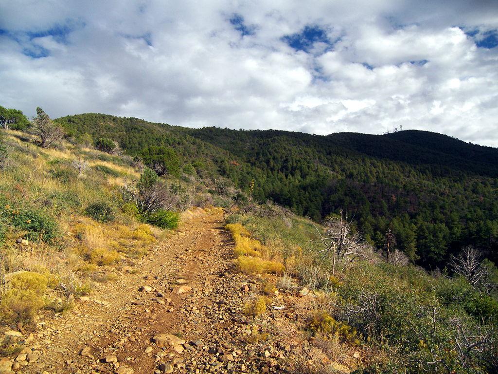 Little Mount Ord, AZ | HikeArizona