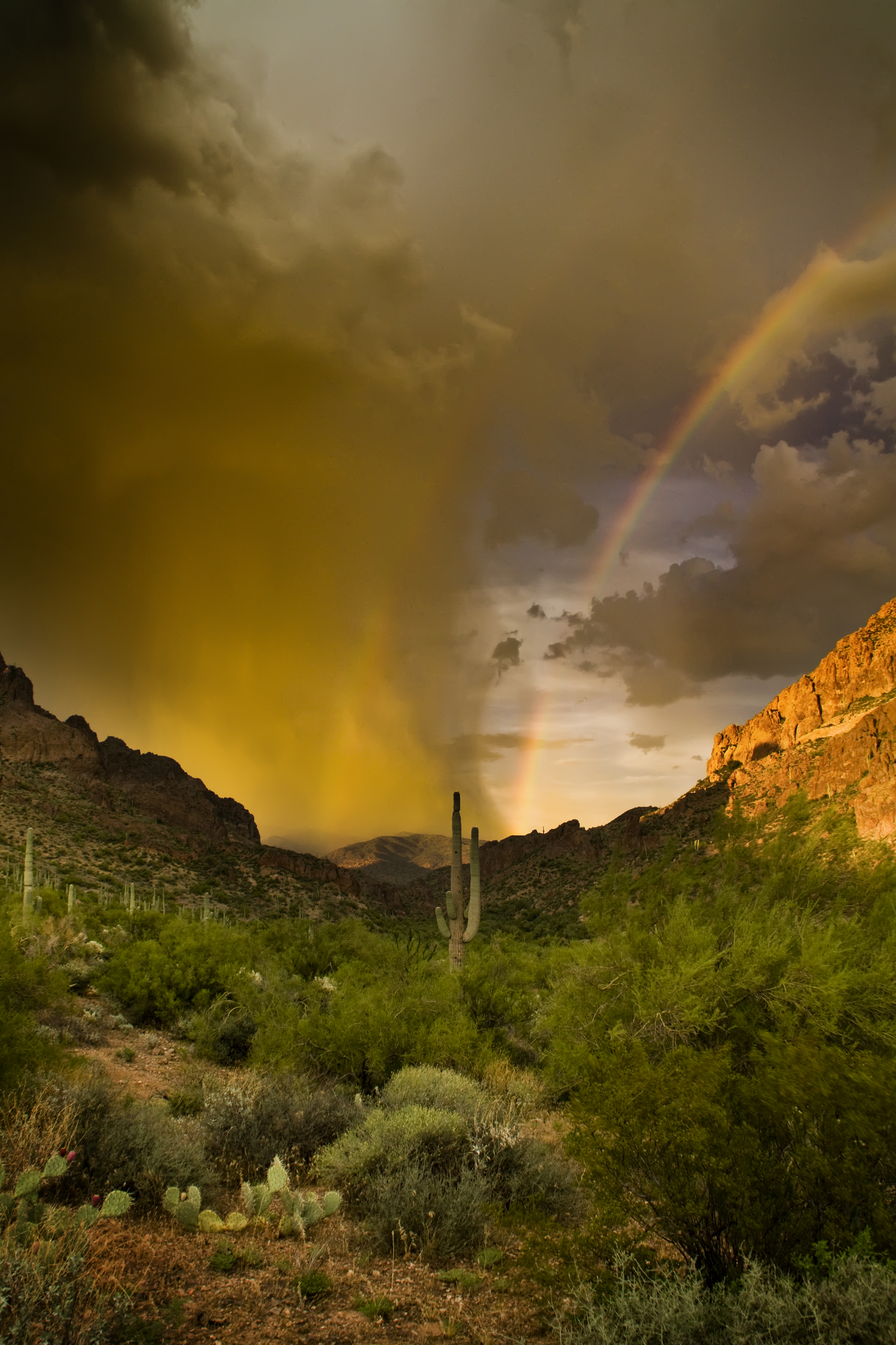 Reavis Ranch via 109 South, AZ | HikeArizona