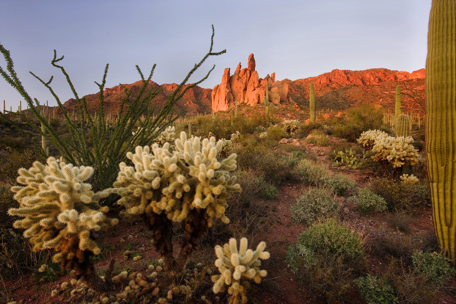 Whitlow Canyon Loop, AZ | HikeArizona