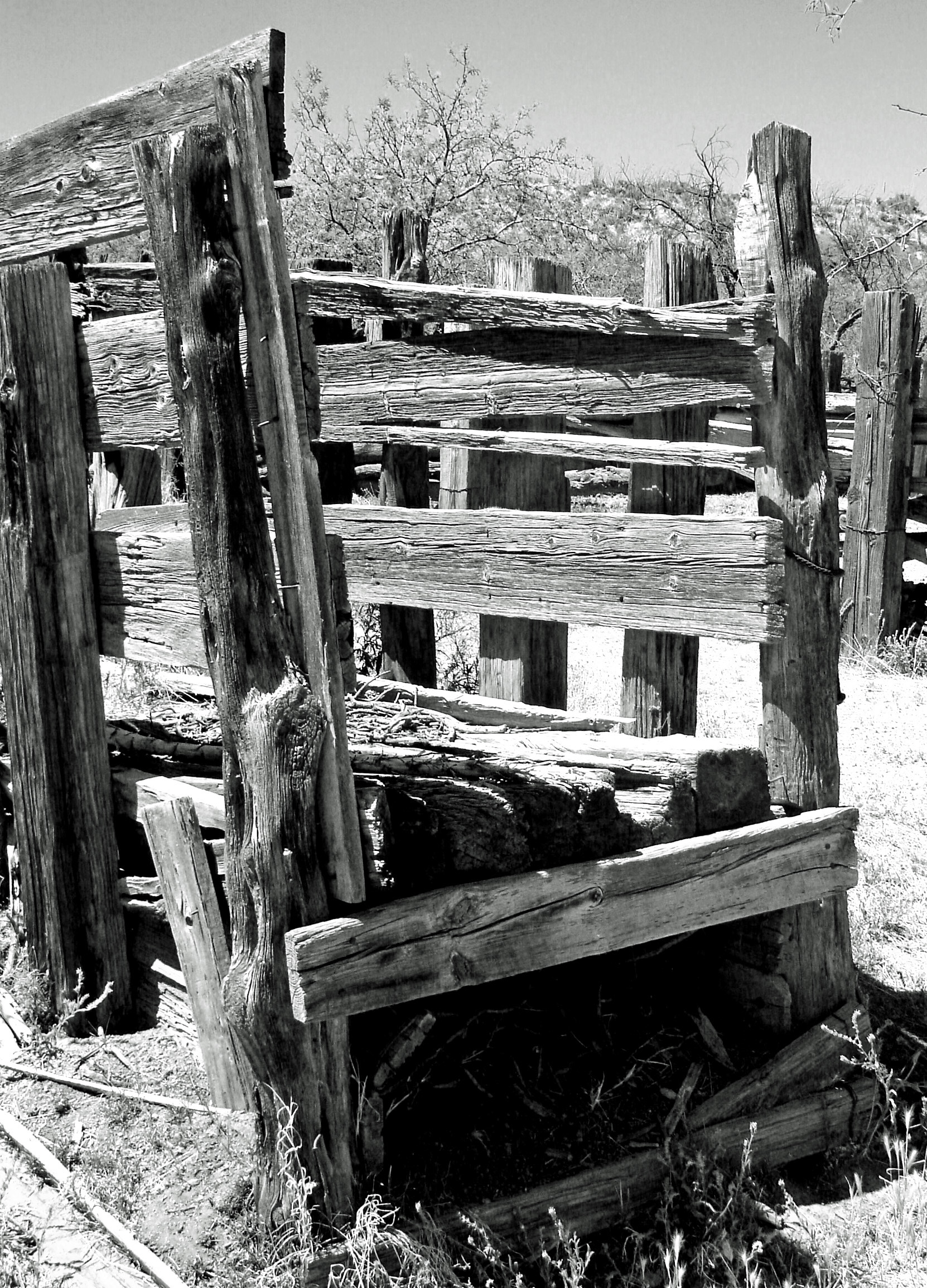 Cody Trail #9, AZ | HikeArizona