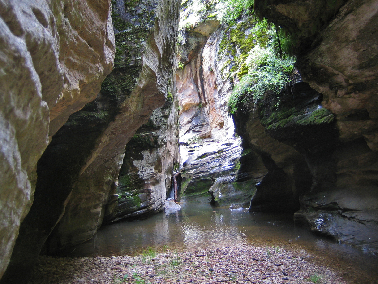 Clover Creek Canyon, AZ | HikeArizona