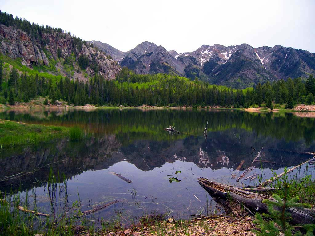 Spud Lake Trail #661 - Potato Lake, CO • Hike