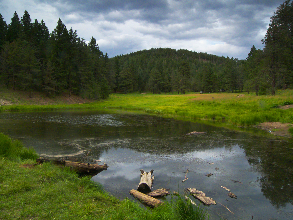 Snow Flat, AZ | HikeArizona