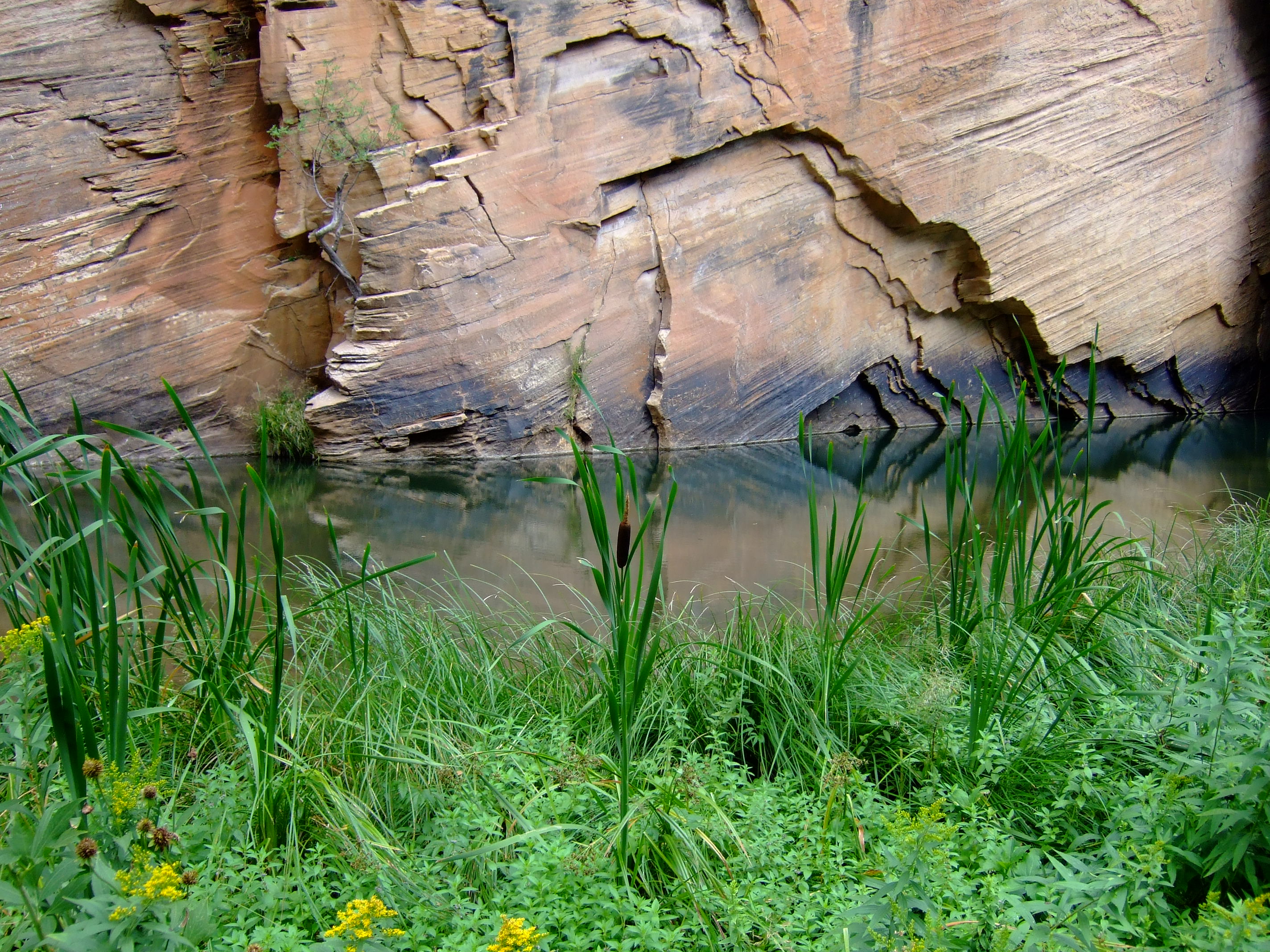 Point Trail - West Clear Creek, AZ | HikeArizona