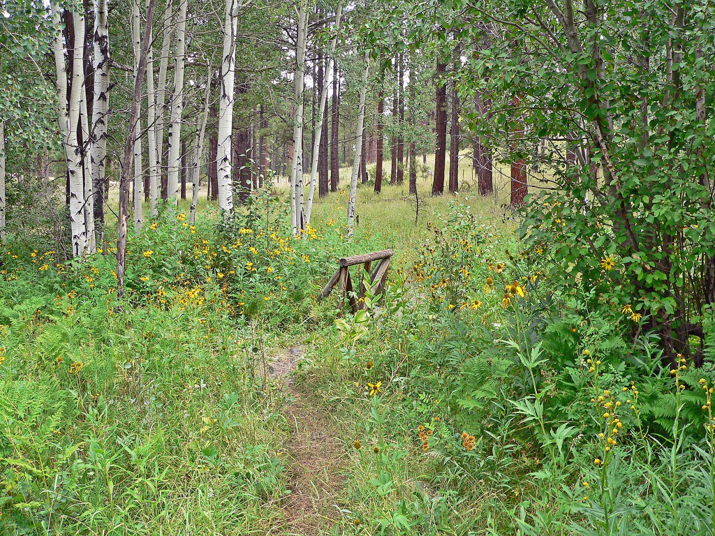 Butler Canyon Trail #98, AZ | HikeArizona