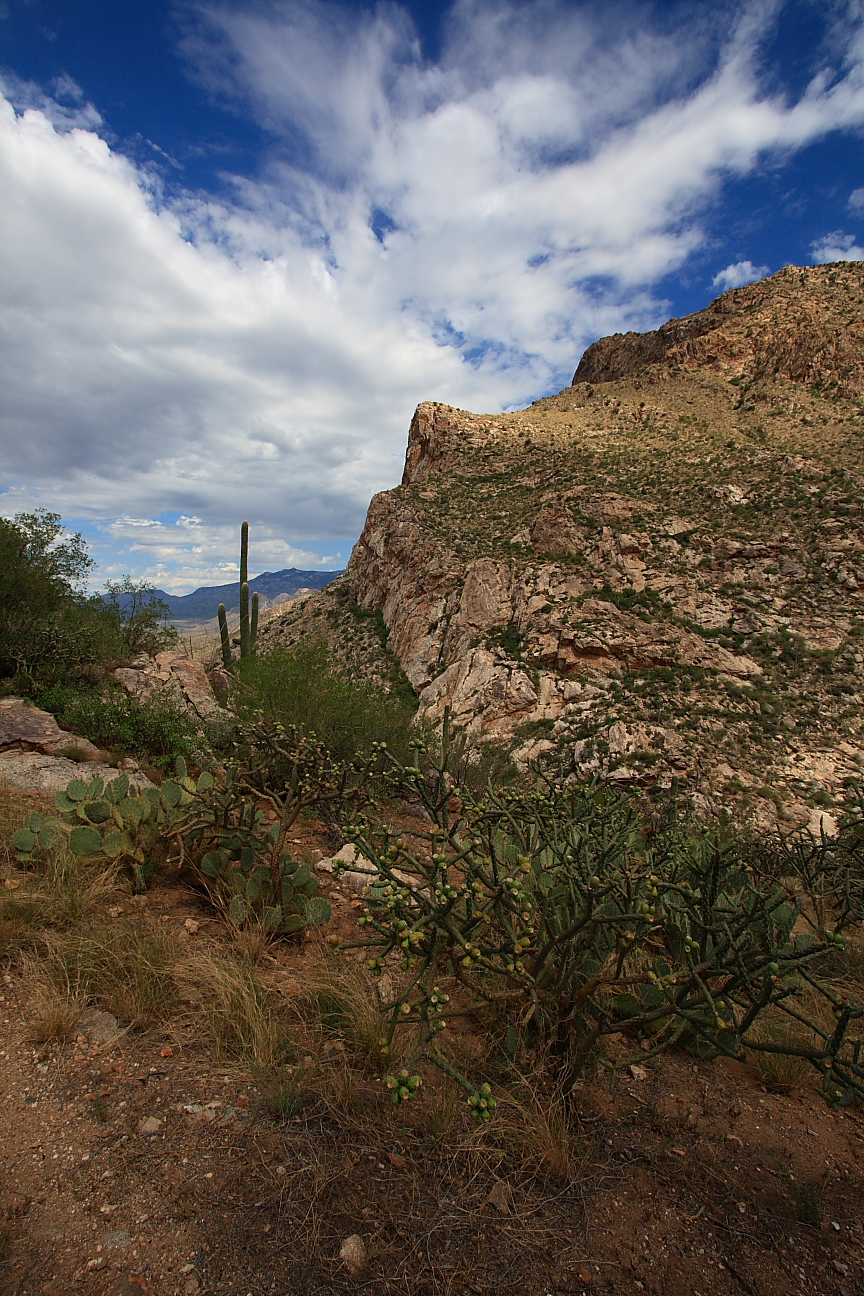 Pusch Peak, AZ | HikeArizona