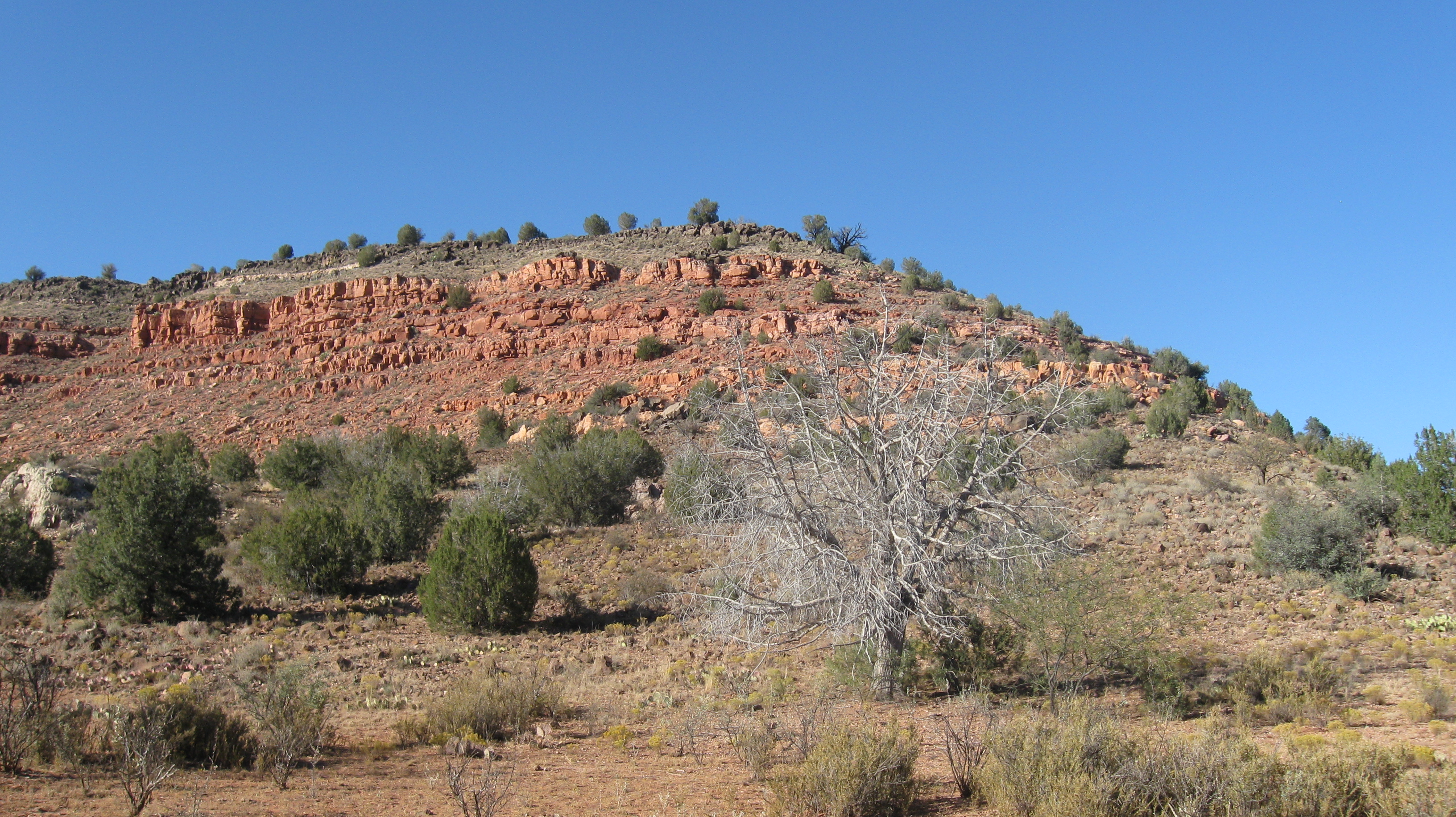 Hell Point Trail #9012, AZ | HikeArizona
