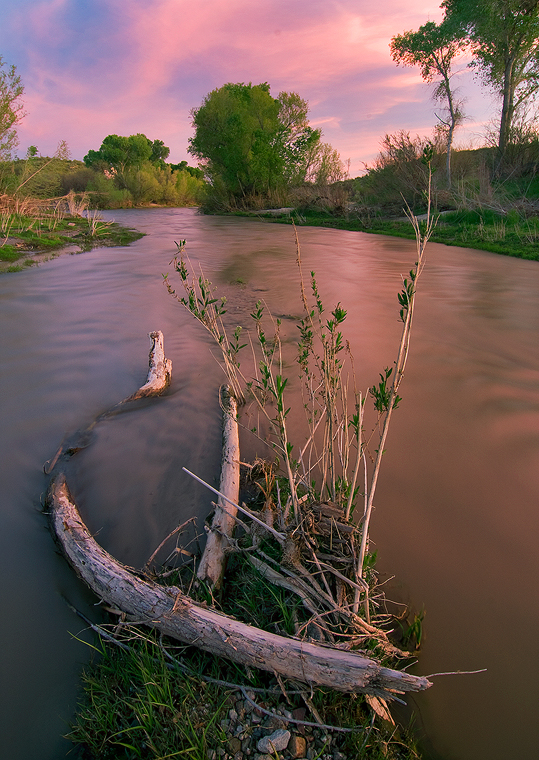 Hassayampa River Preserve, AZ | HikeArizona