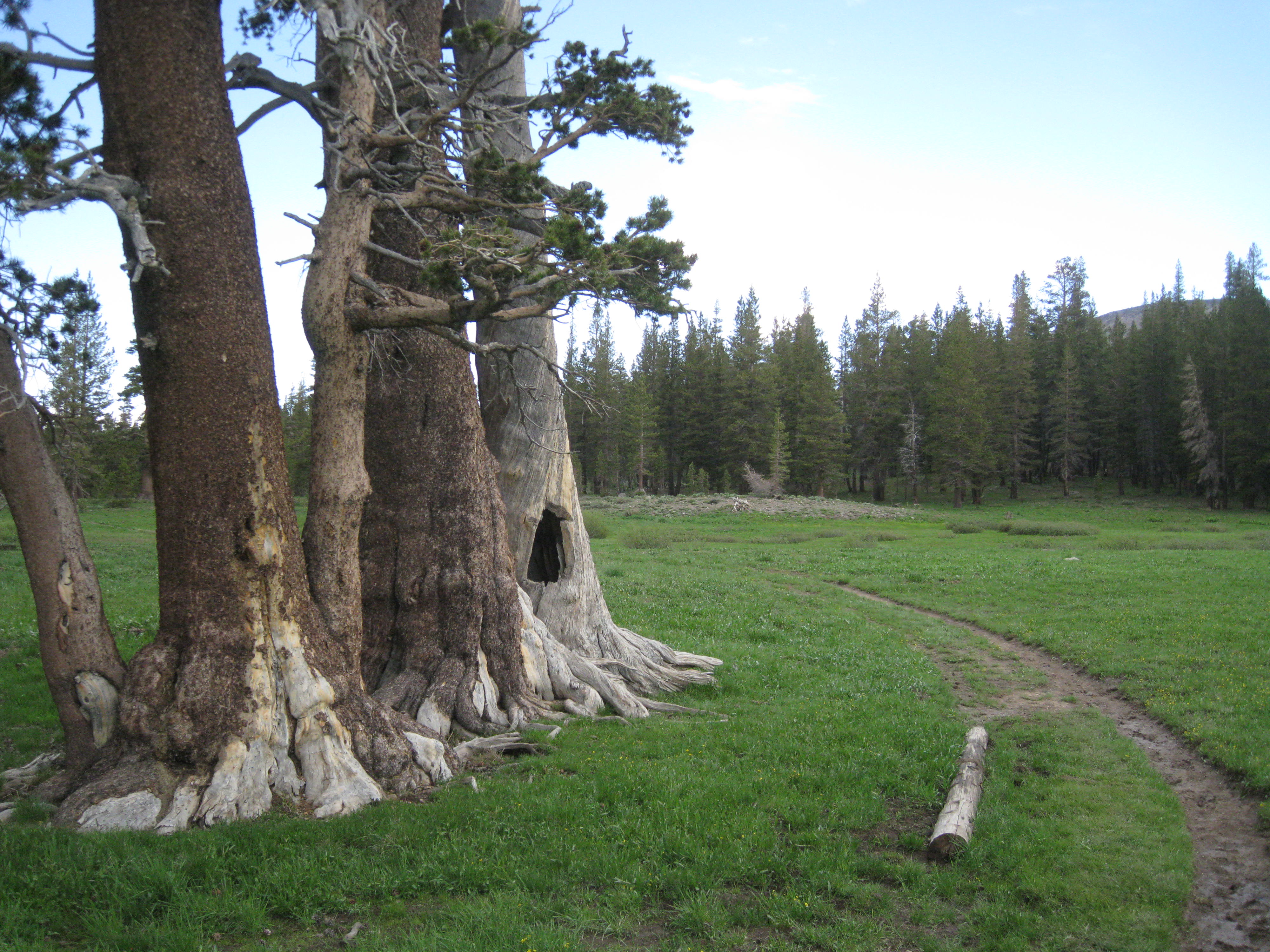 Meiss Lake, CA • Hike
