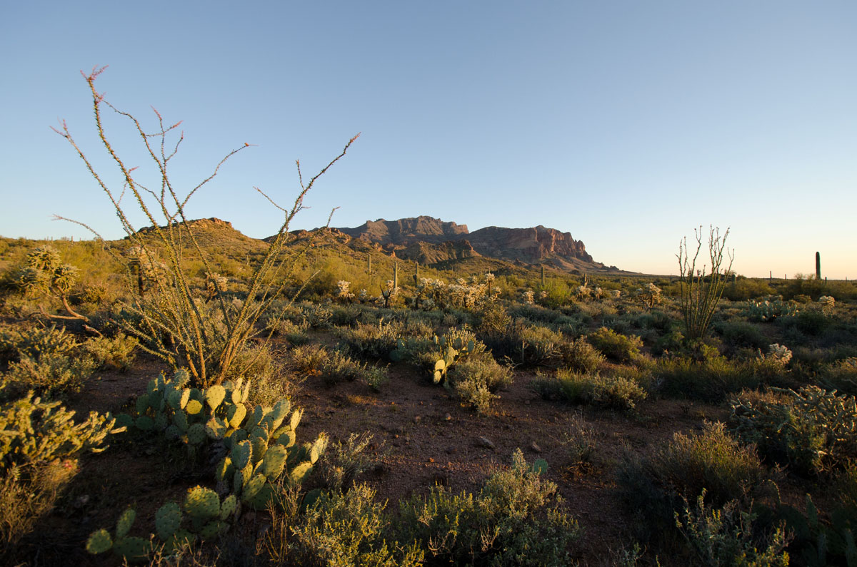 Horse Lot Trailhead to First Water TH, AZ | HikeArizona