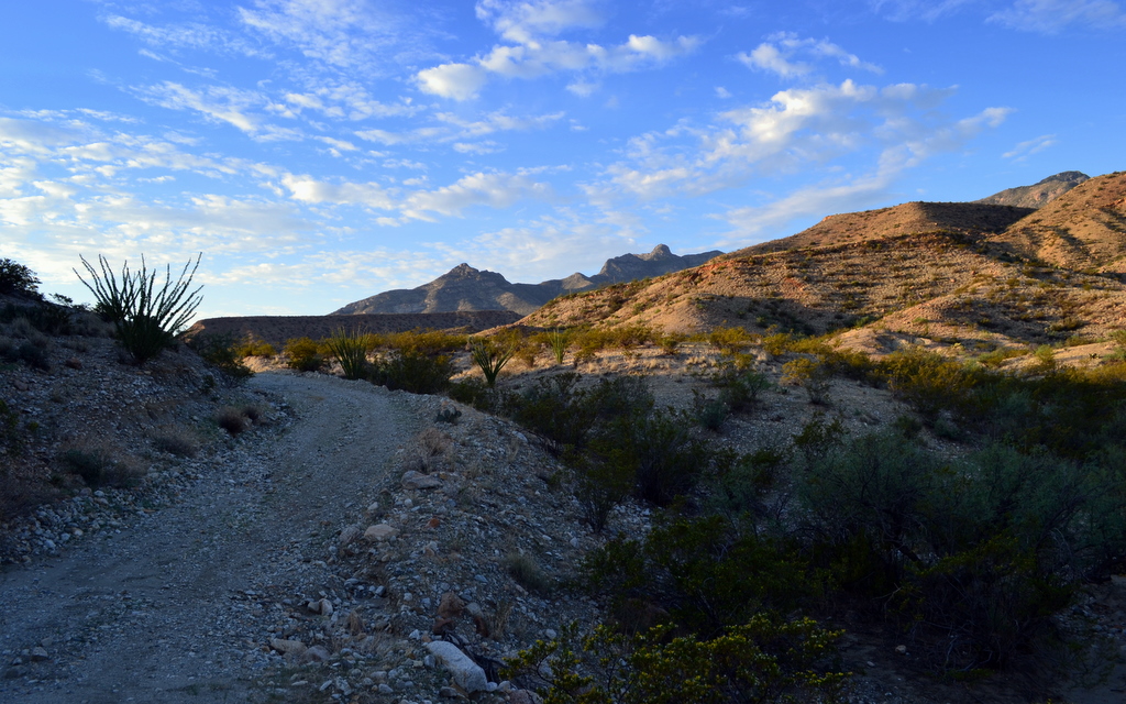 Sheep Tank - Pinaleno Mtns, AZ | HikeArizona
