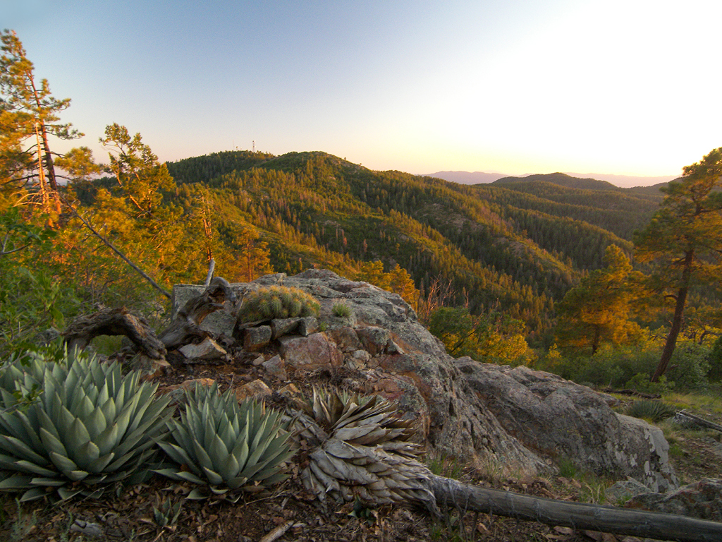 Mount Davis, AZ | HikeArizona