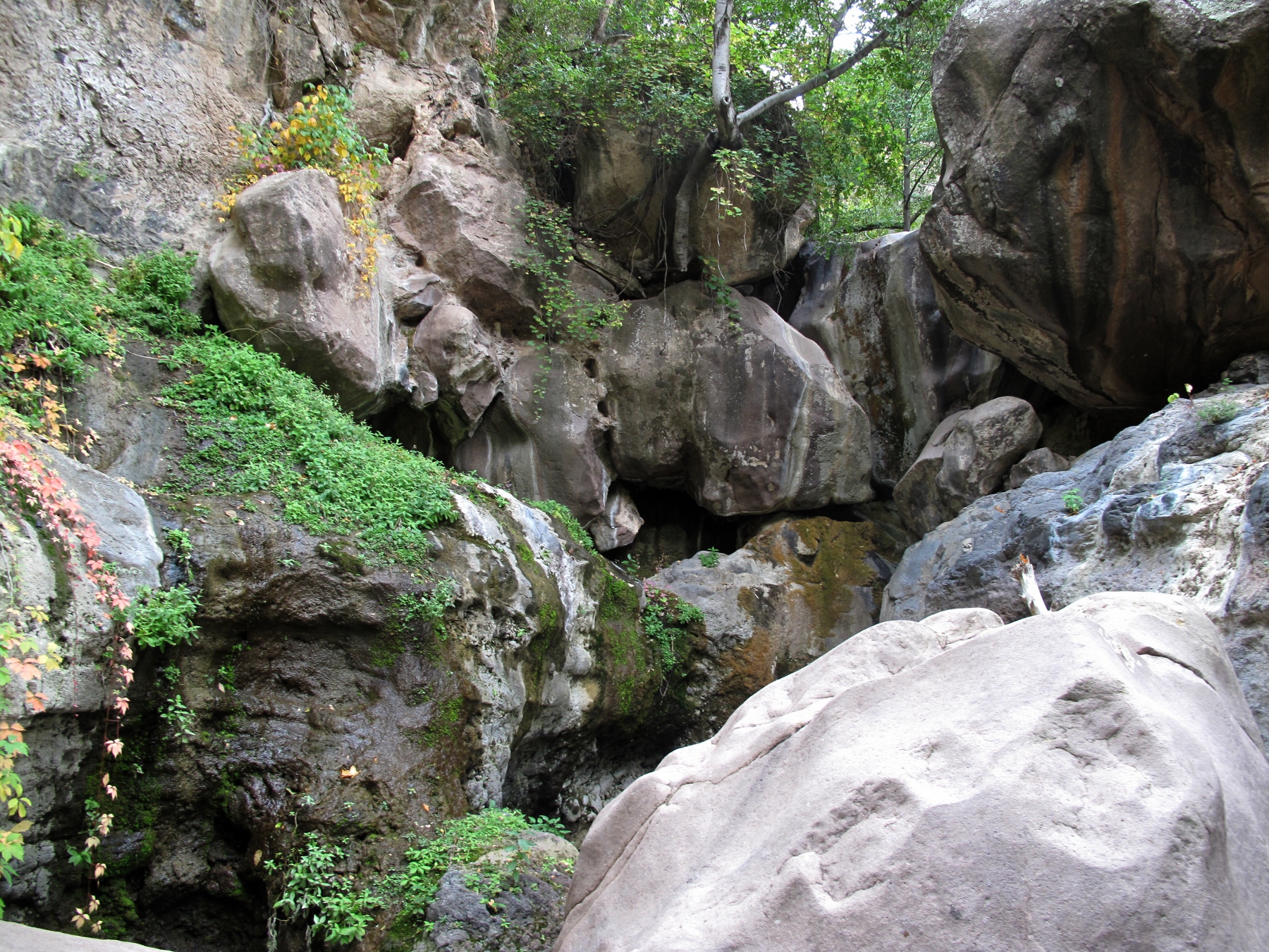 Reavis Falls Overlook, AZ | HikeArizona