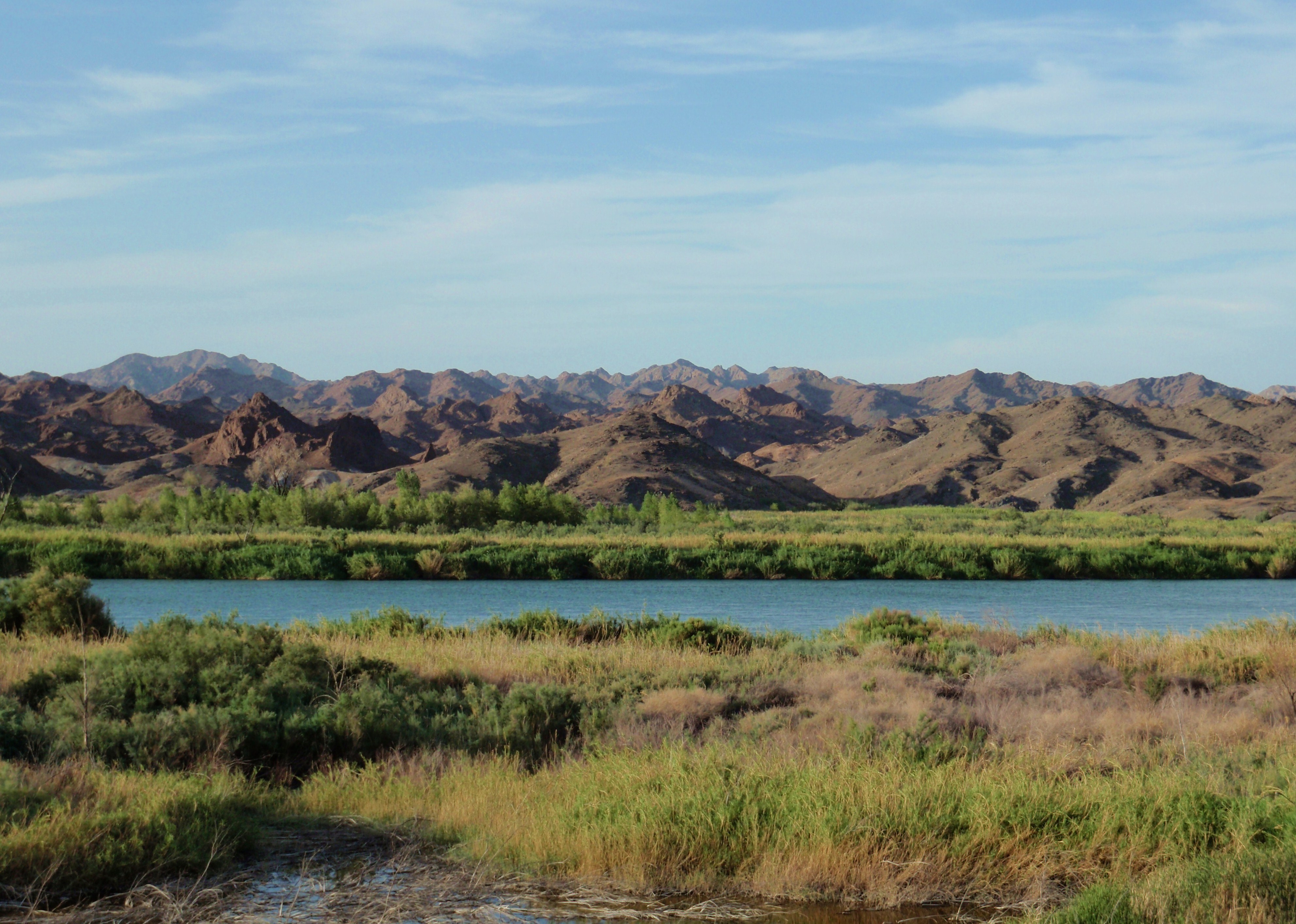 Picacho State Recreation Area, CA • Hike