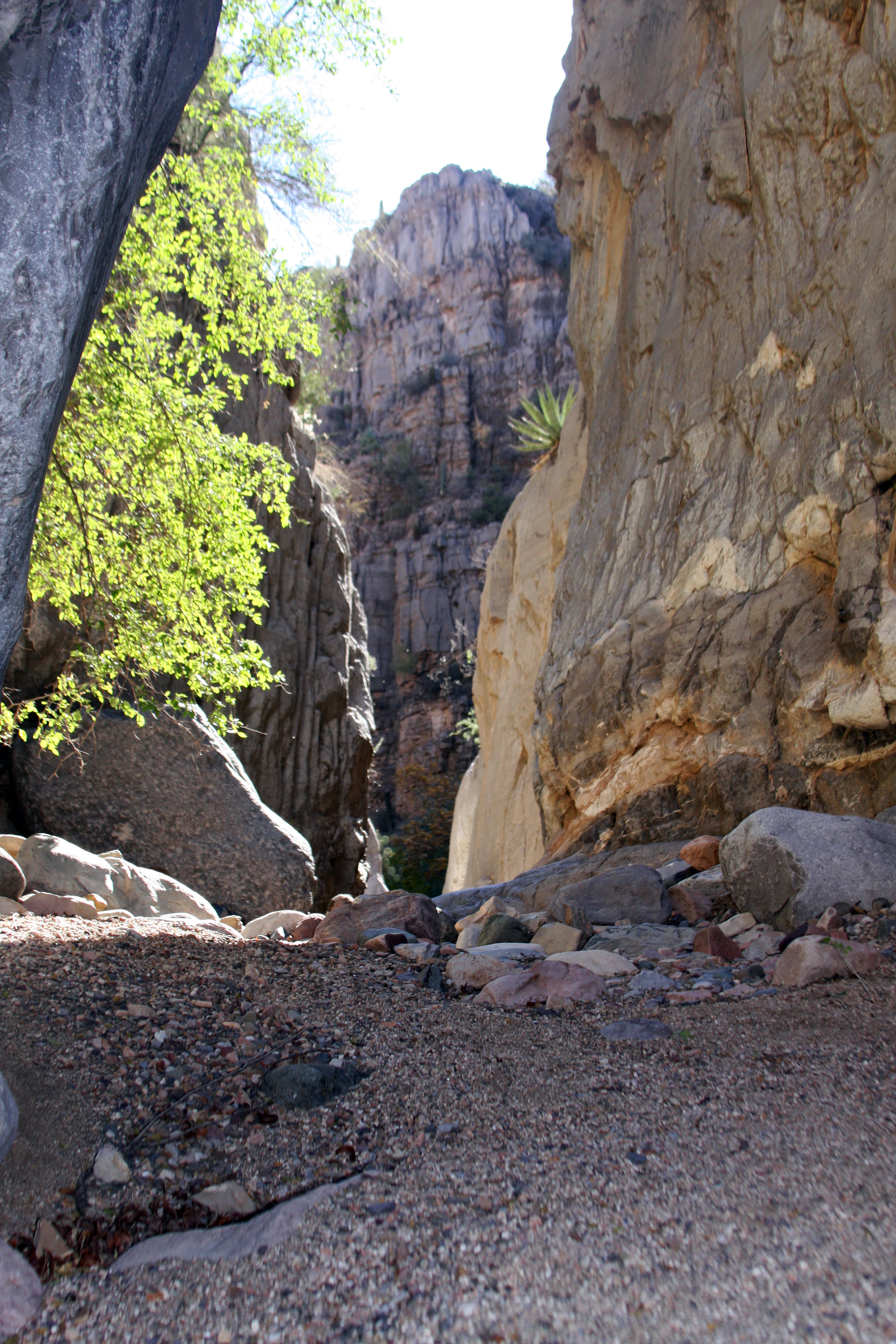 El Capitan Canyon, AZ | HikeArizona