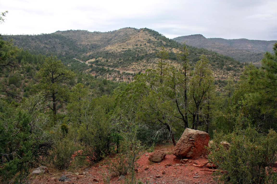 Bug Hollow Trail #548, AZ | HikeArizona