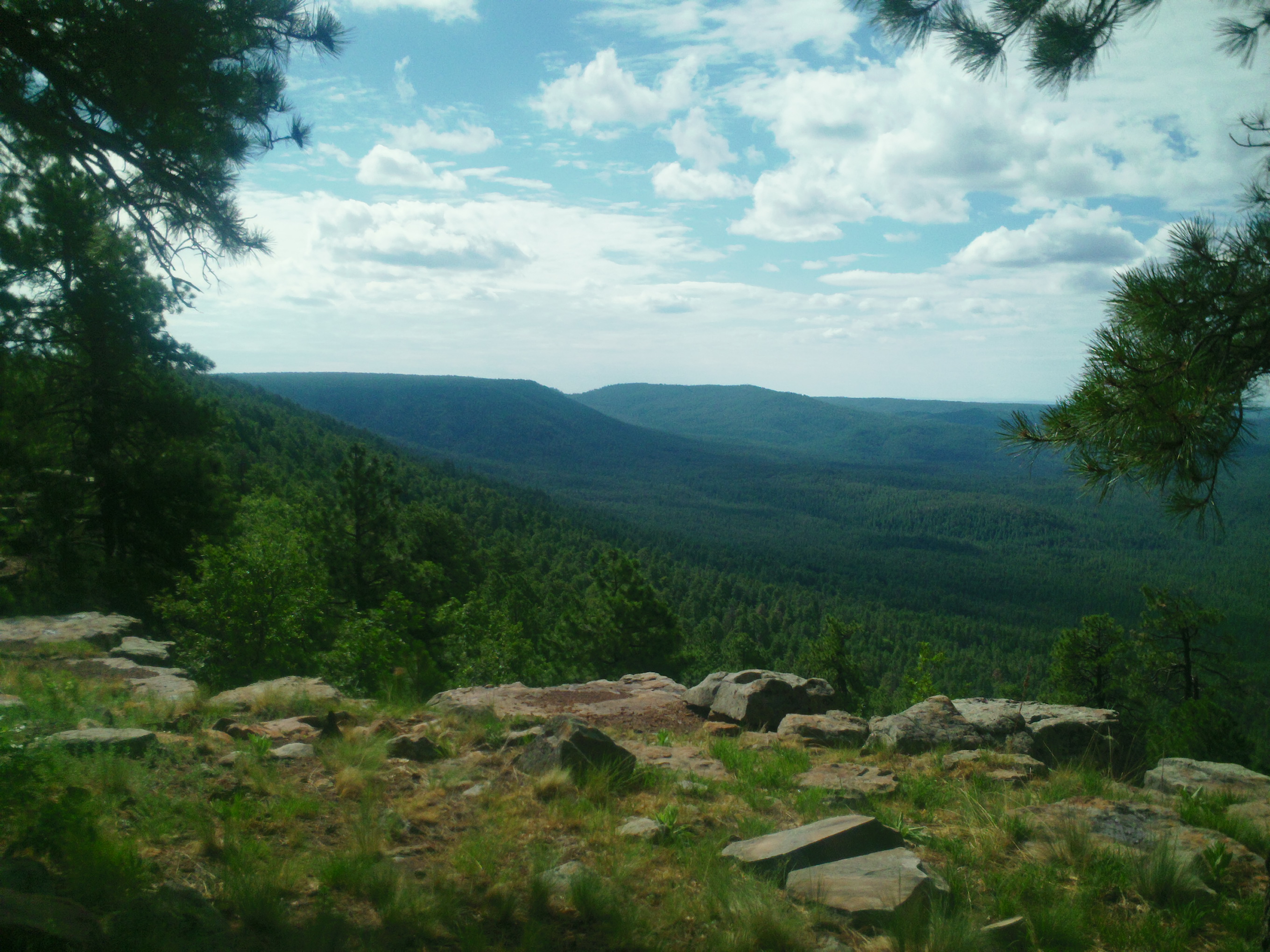 Rim Lake Vista Trail #622, AZ | HikeArizona