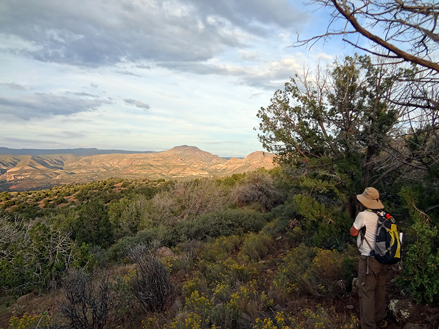 Oxbow Trail #163, AZ | HikeArizona