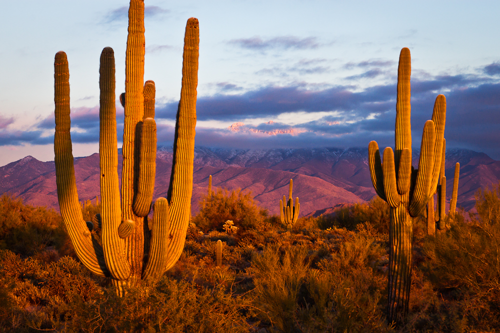 The Rolls, AZ | HikeArizona